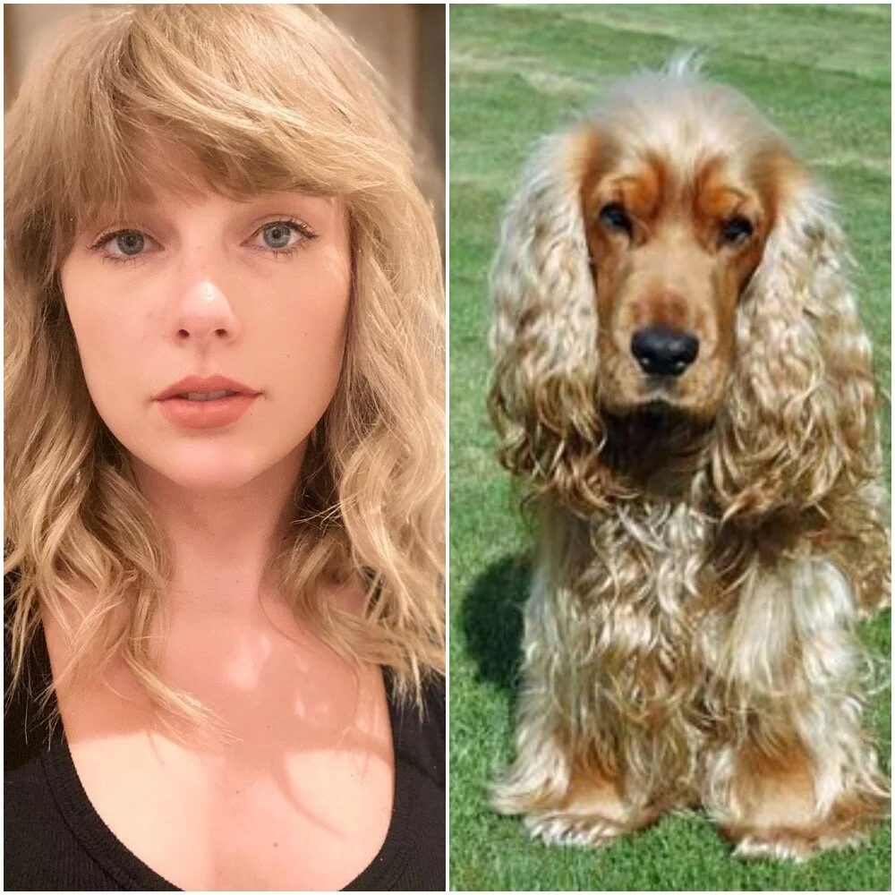 Why People Look Like Their Dogs