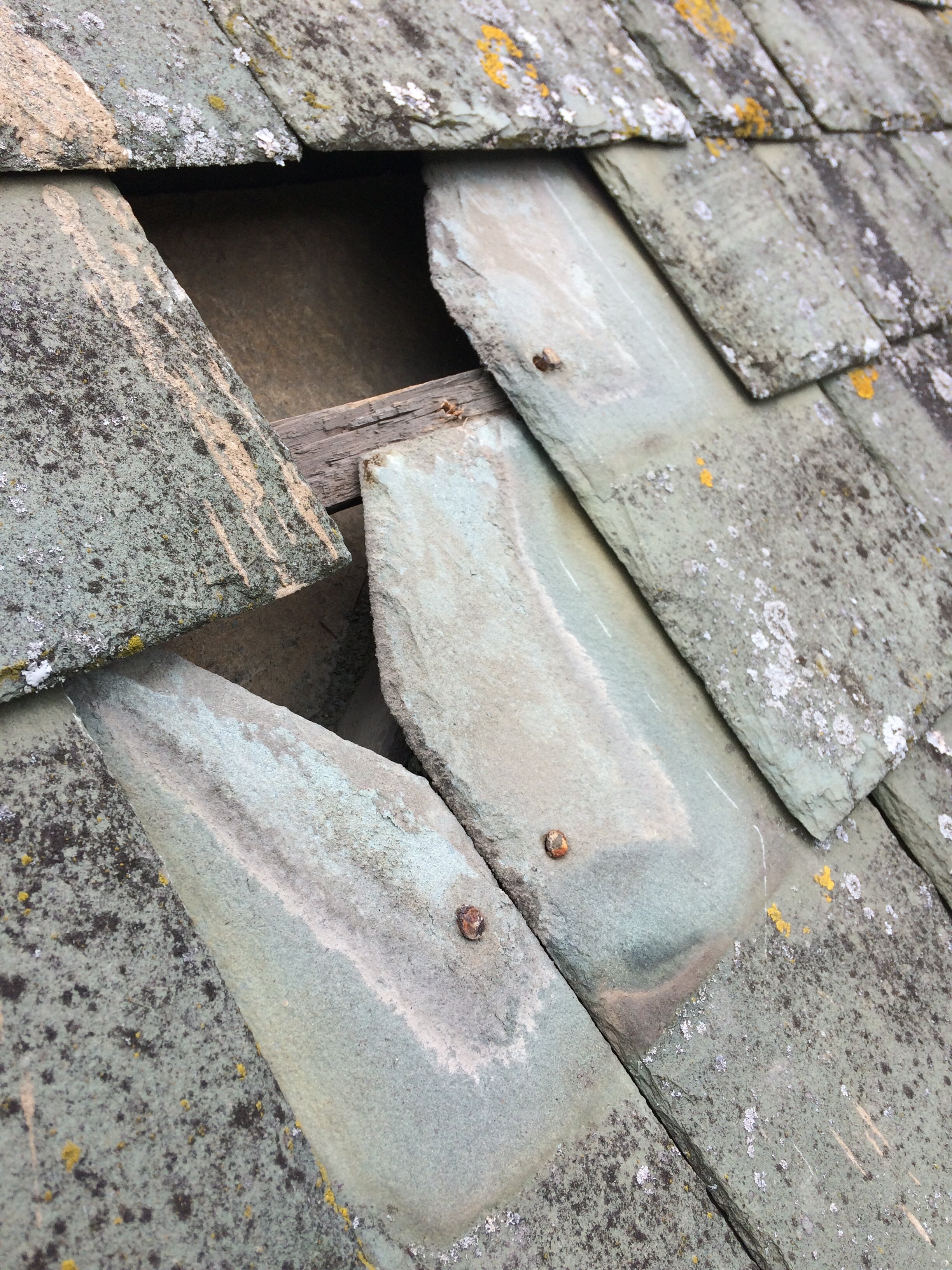 arc System — Vertex Access | Rope Access | Drone Surveys | Rail