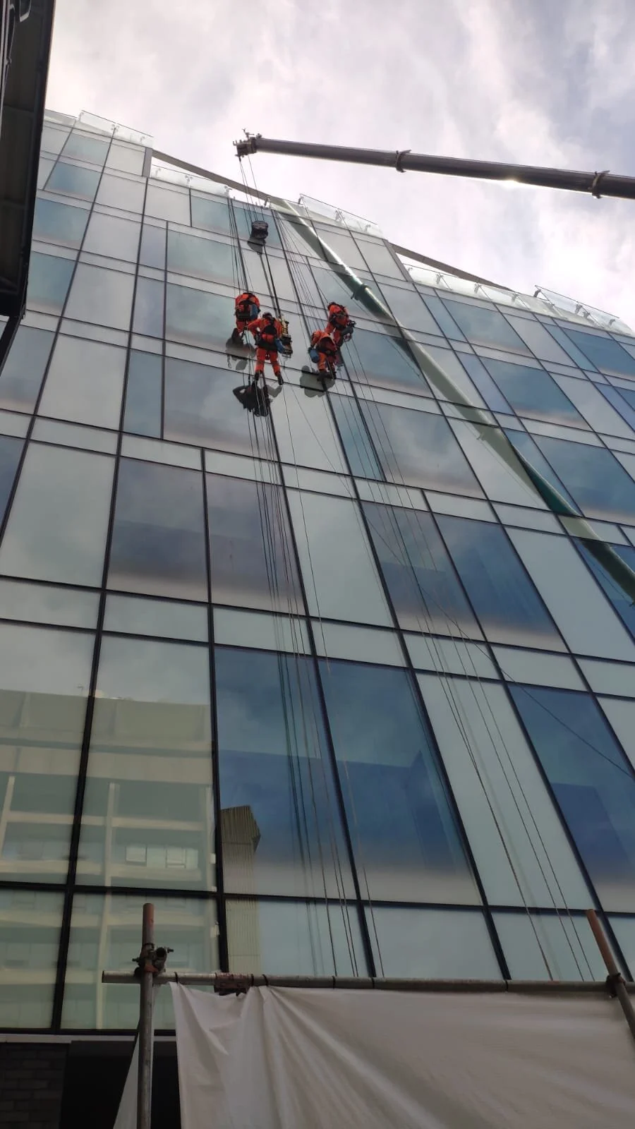 Vertex Facades Curtain Wall Installation and Remediation — Vertex ...