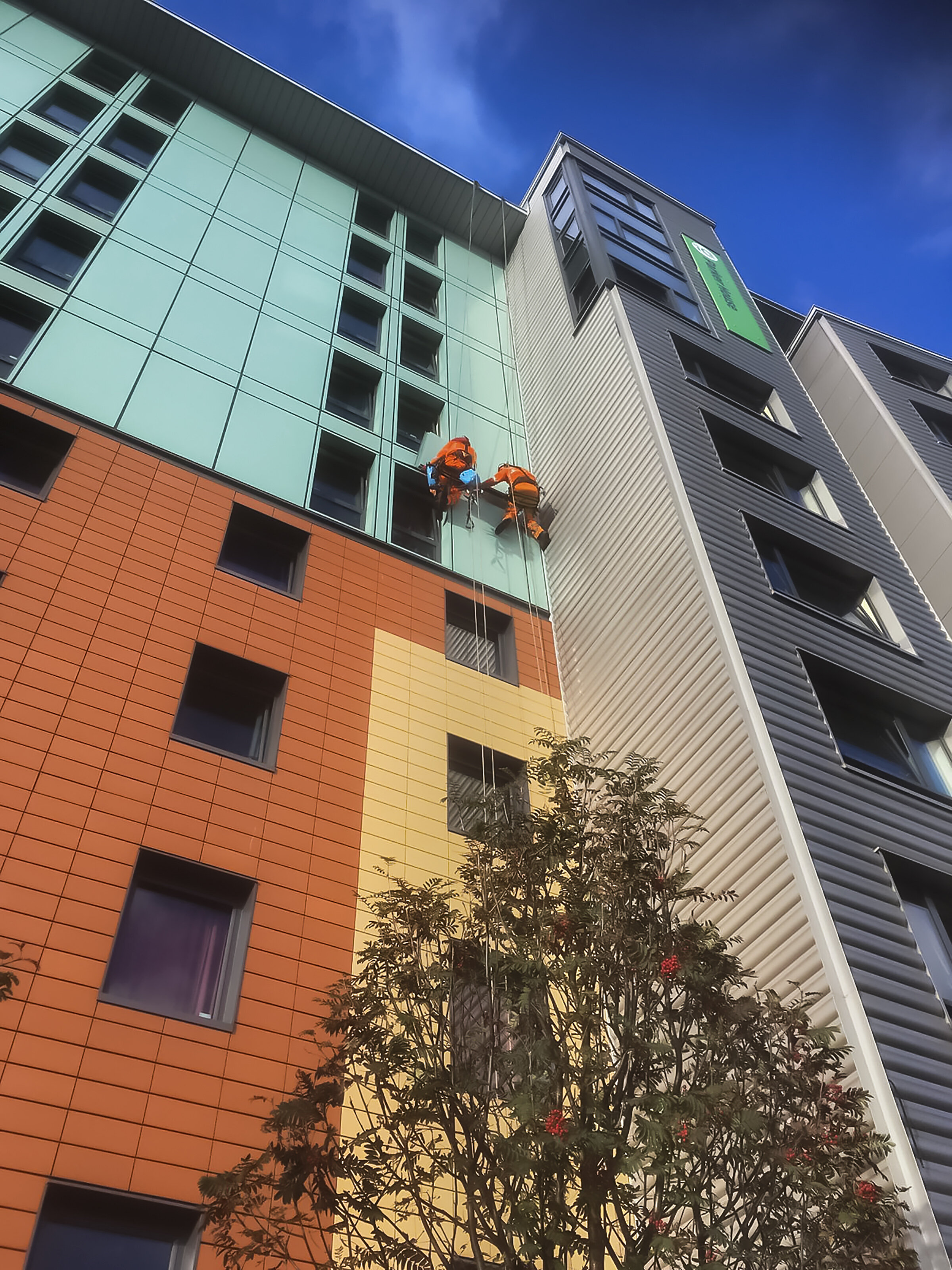 Vertex Facades Cladding Installation and Remediation — Vertex Access ...