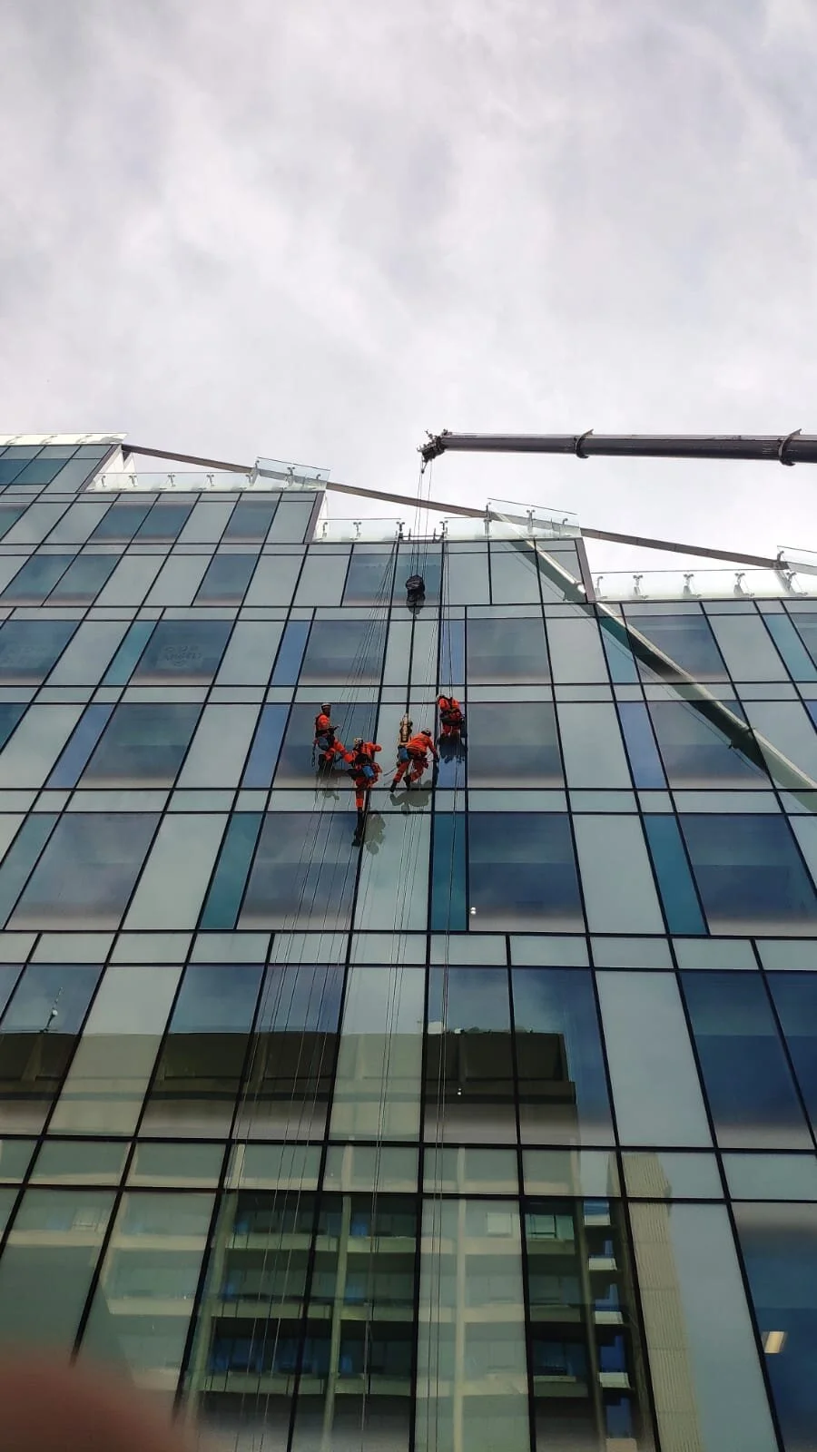 Vertex Facades - Glazing and Glass Replacement — Vertex Access | Rope ...