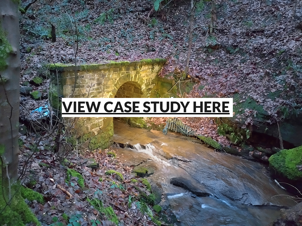 Culvert and Sewer Surveys — Vertex Access | Rope Access | Drone Surveys ...