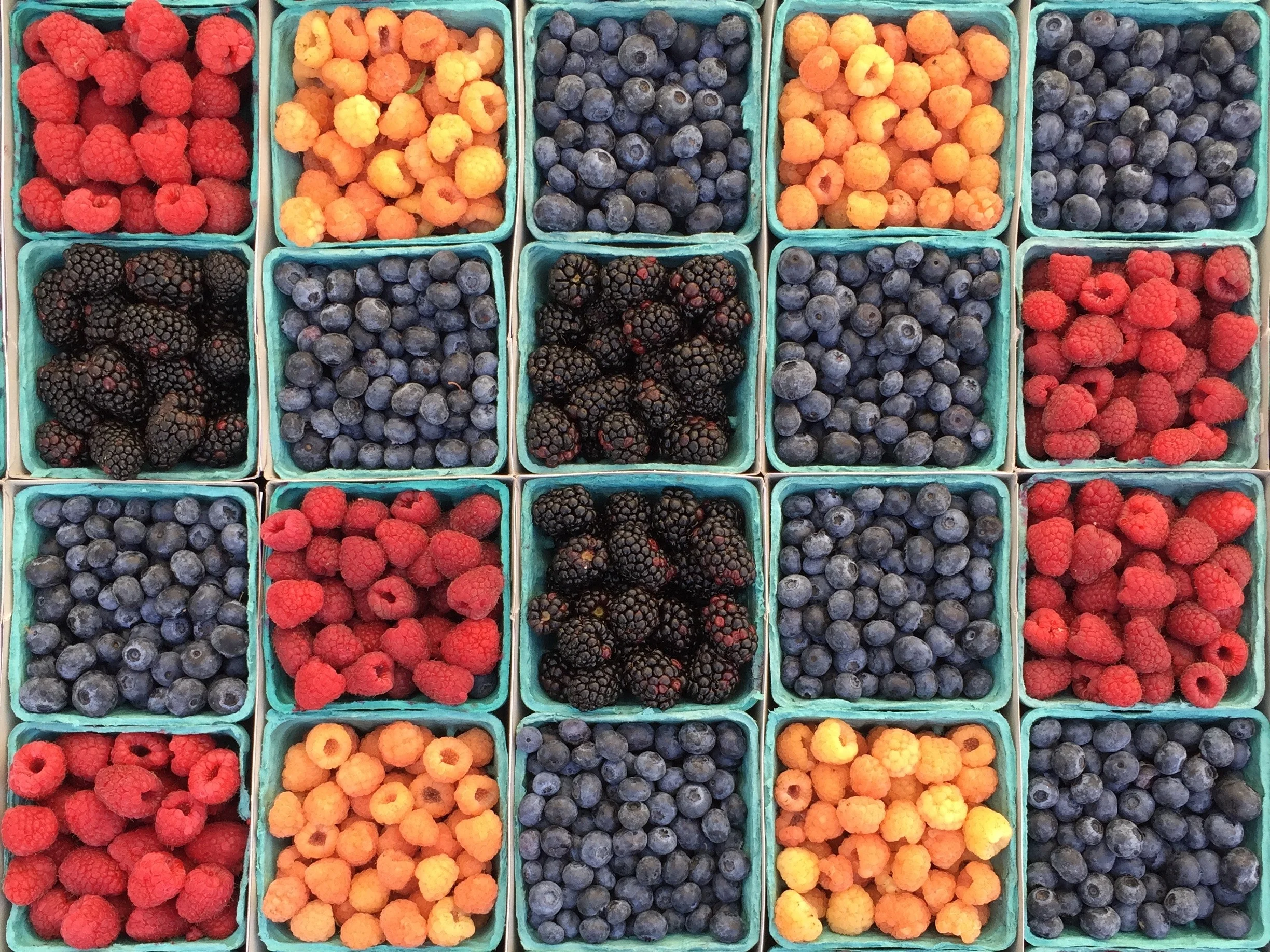 Wholesale Products — Frontier Produce