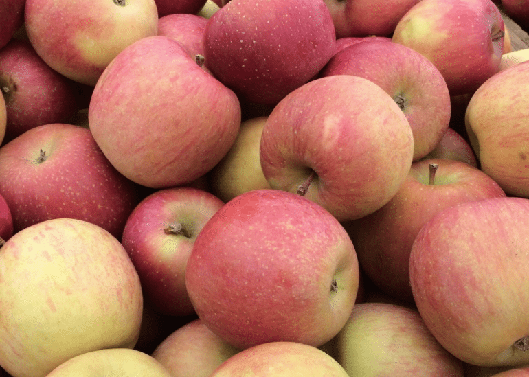 FRUIT — Frontier Produce