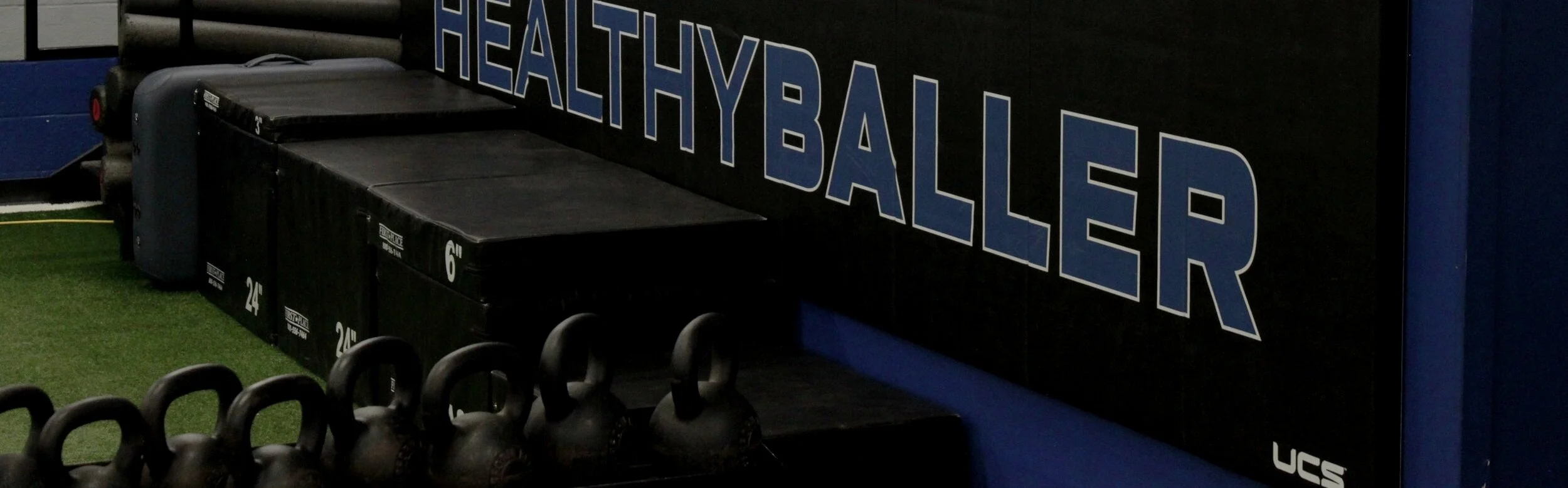 Fairfax, VA — HEALTHY BALLER