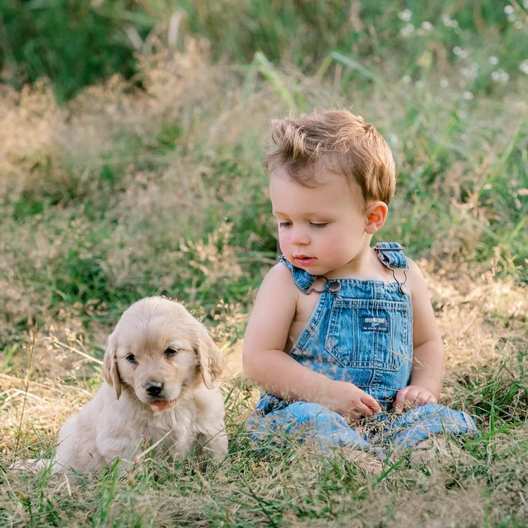 Wooster Ohio Photographer