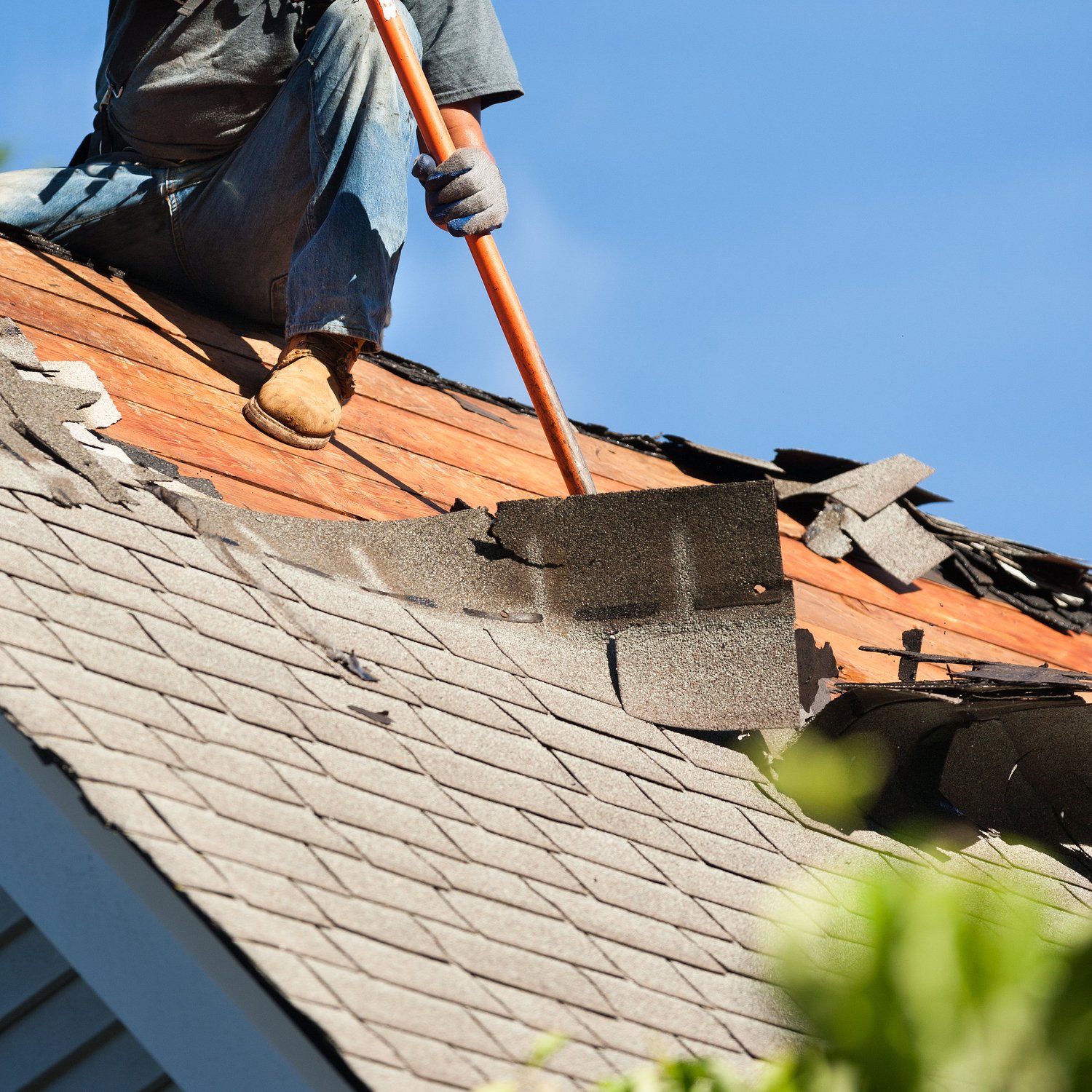 WOLF ROOFING