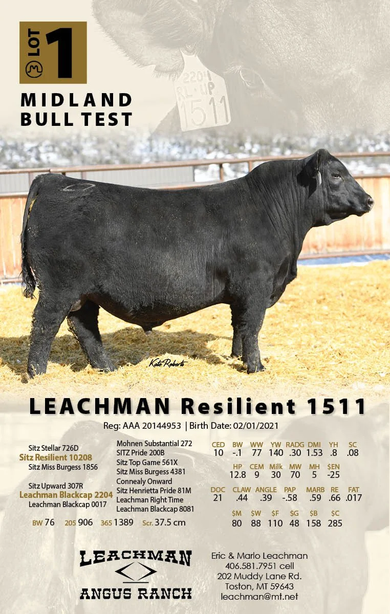 Leachman Angus Ranch