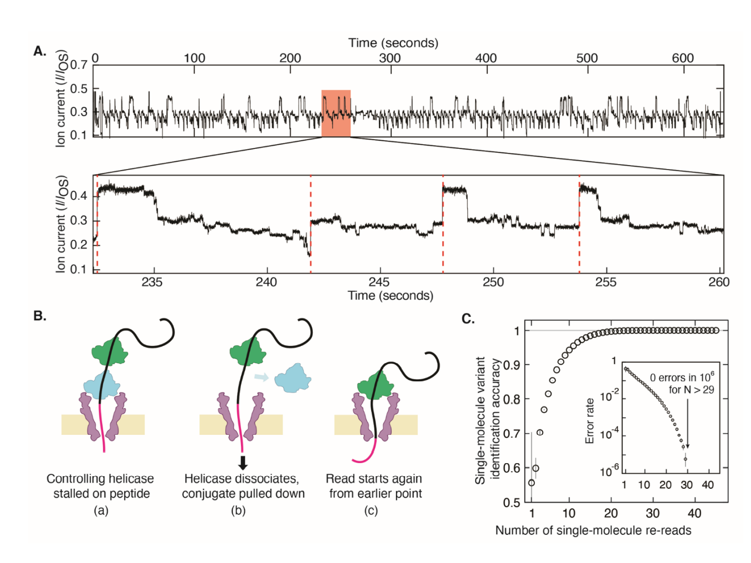 Nanopores for Protein Sequencing — Larry Rodriguez, PhD