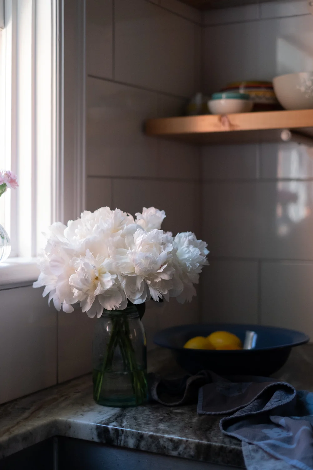 How to move a peony bush without upsetting the fairies — Suzanne ...