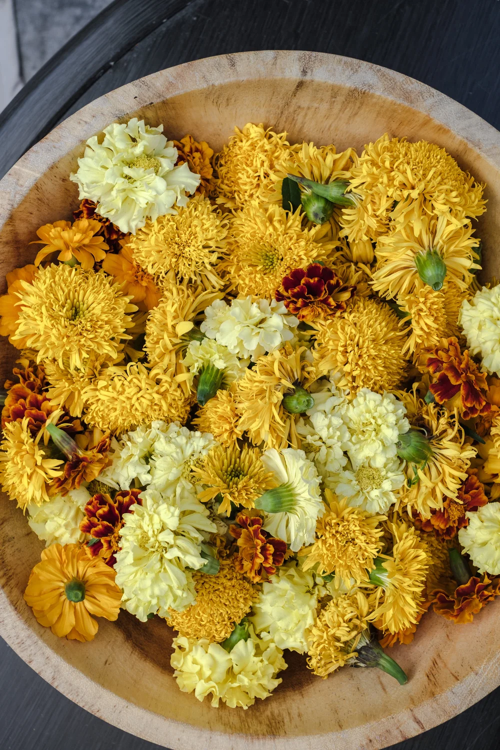 Marigold, the perfect fall flower — Suzanne McCarthy Photography