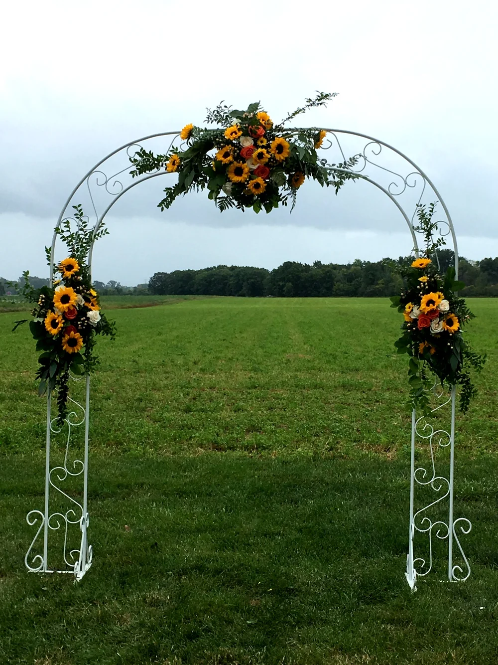 Distinctive Design by Trish