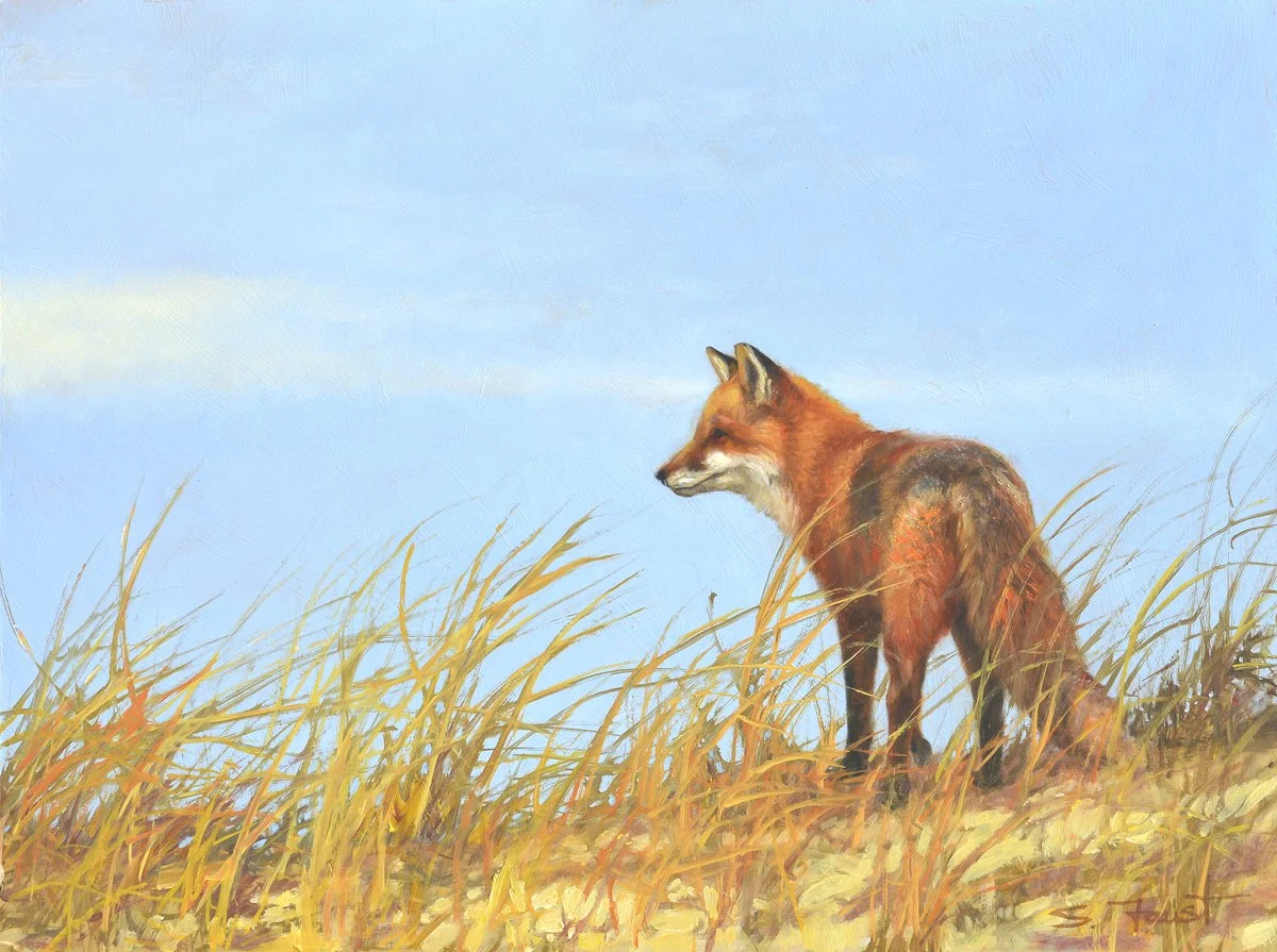 Shawn Faust — Sheldon Fine Art