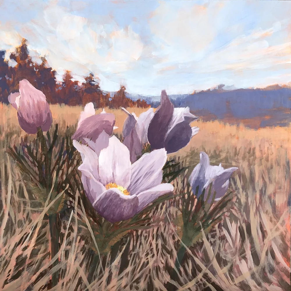 Prairie Crocus