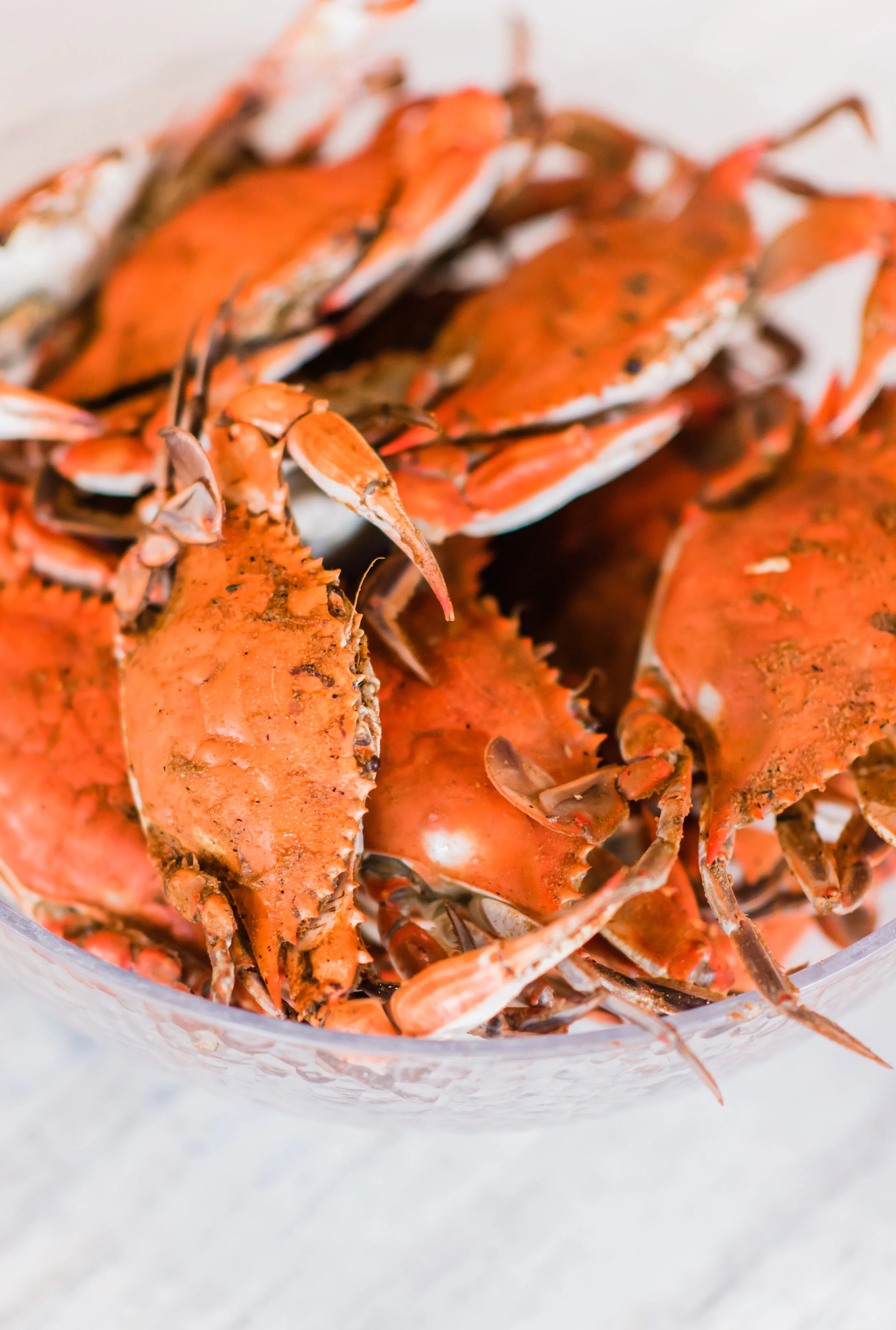 Cafe — Forsyth Seafood Market & Café