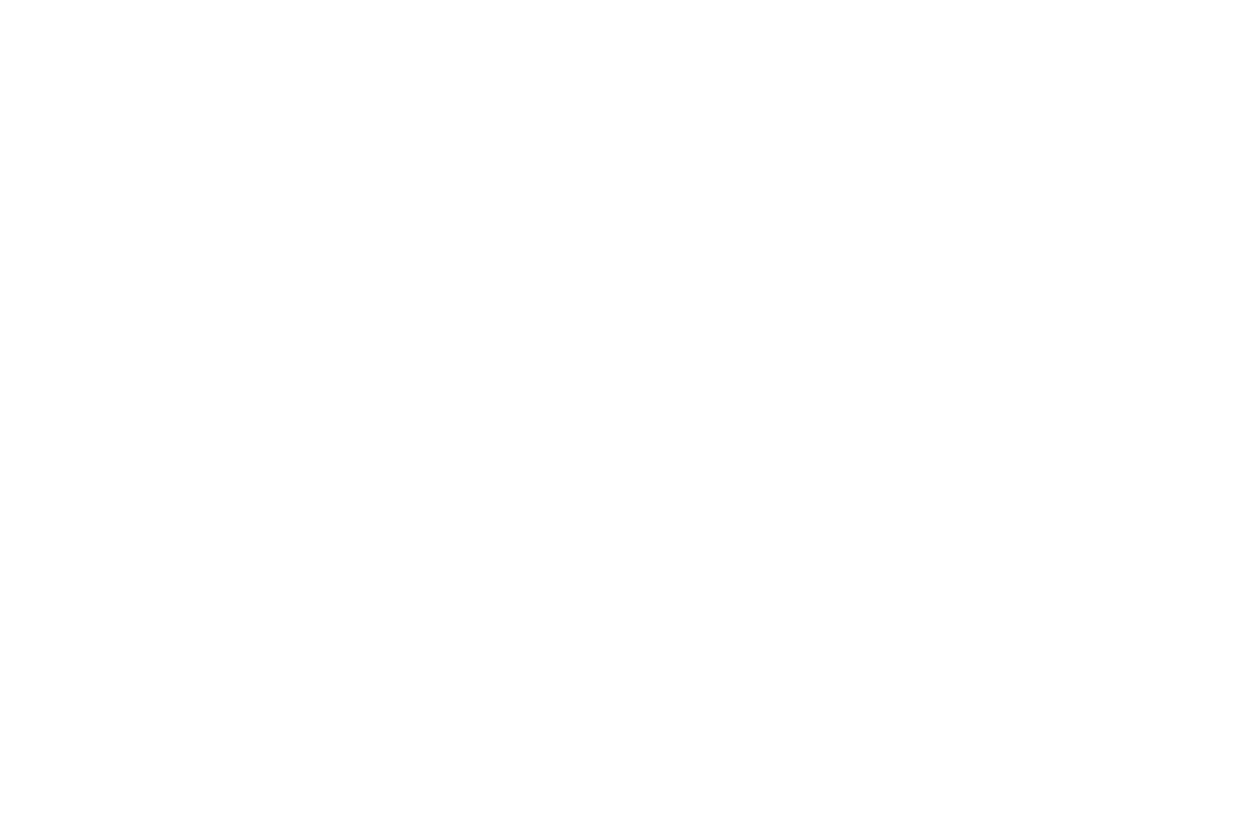 INFORMATION — HIDALGO BORDER FEST 2022