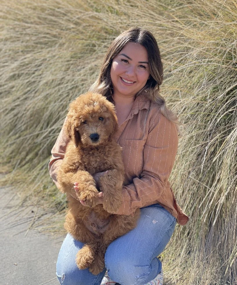 Get to Know CA Goldendoodle Breeders at Windsong Doodles