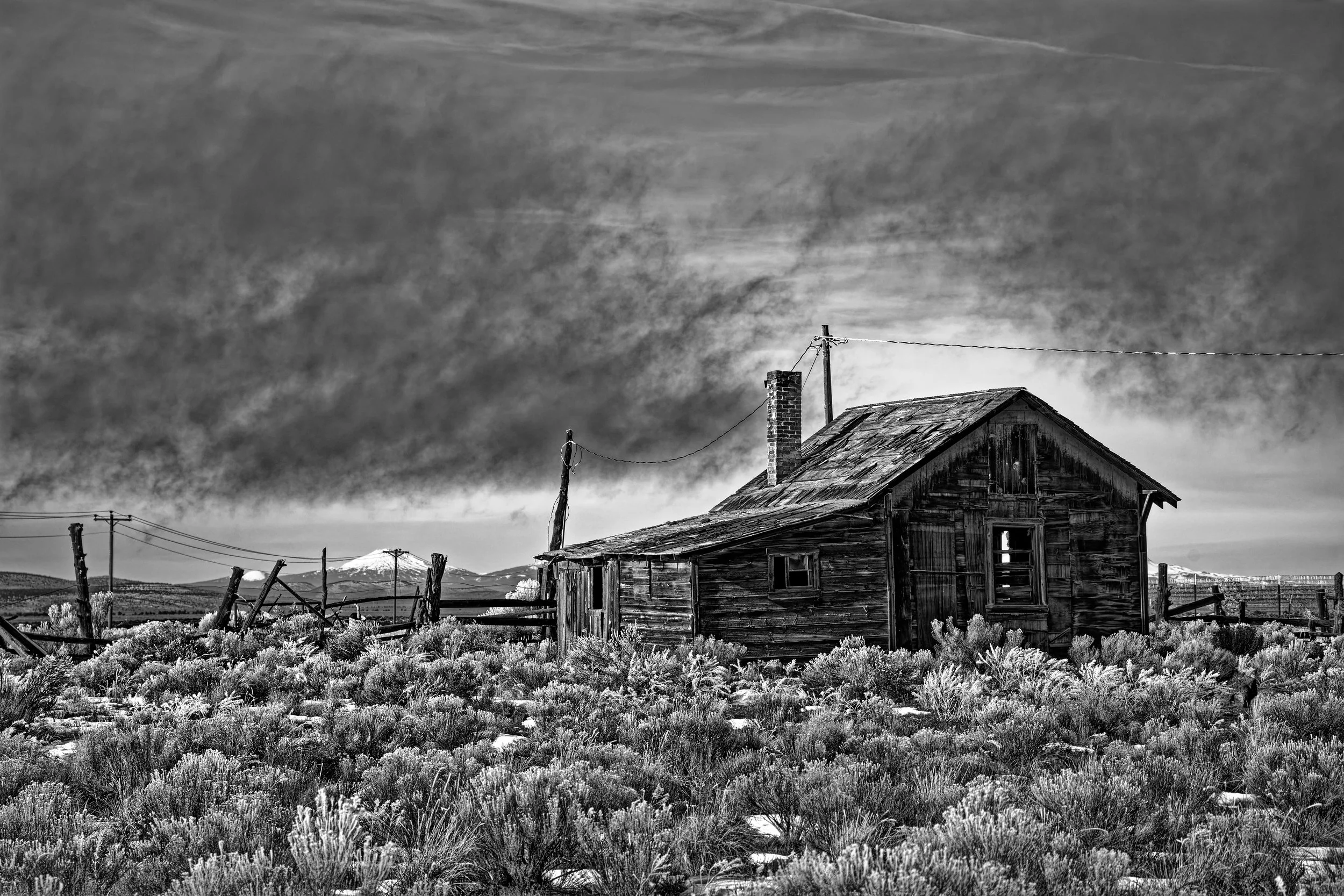 Artists and Authors — Englewood Forest Festival