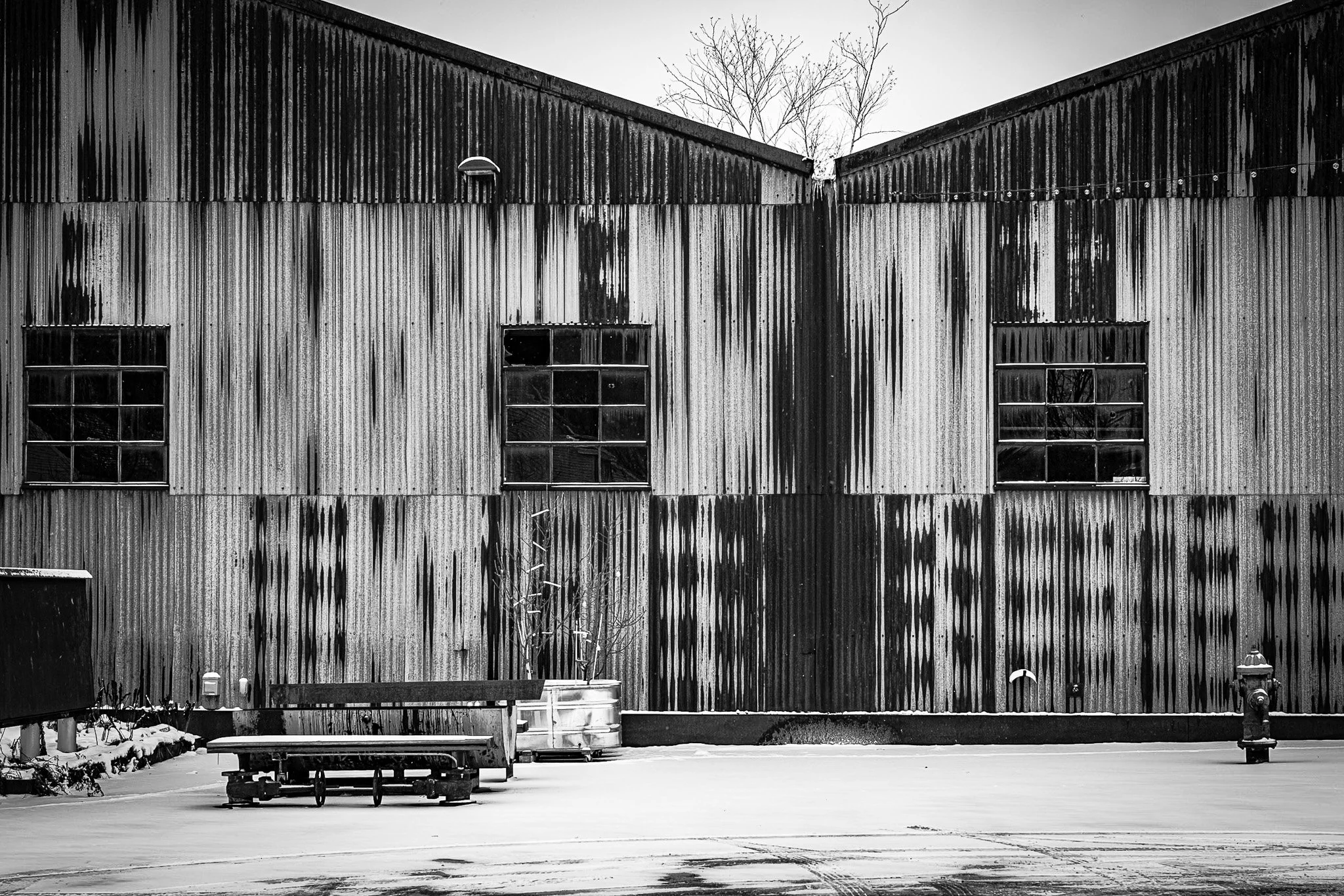 Nicholas Costopoulos