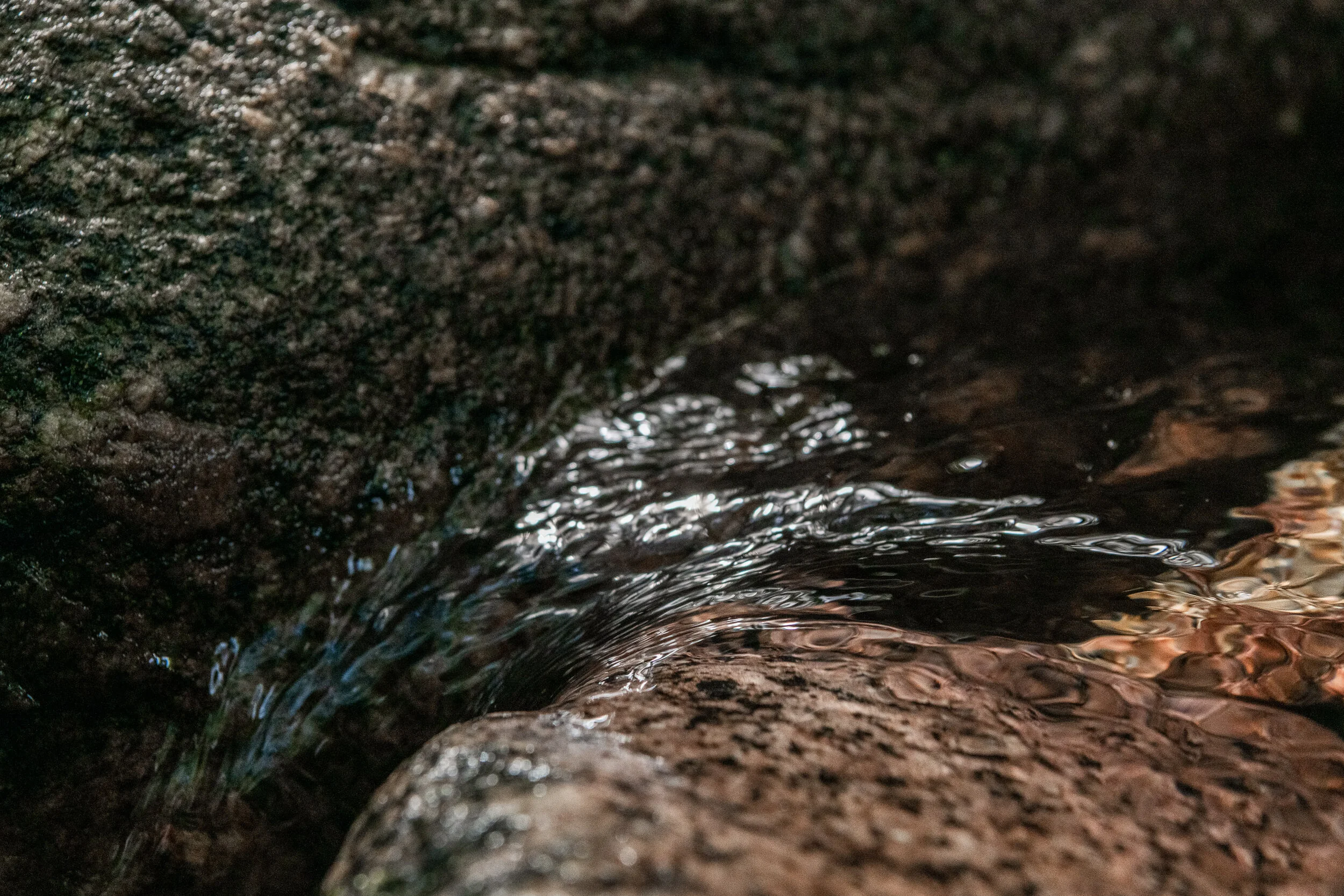 Maruia River Retreat - Luxury Wellness & Rainforest Retreat