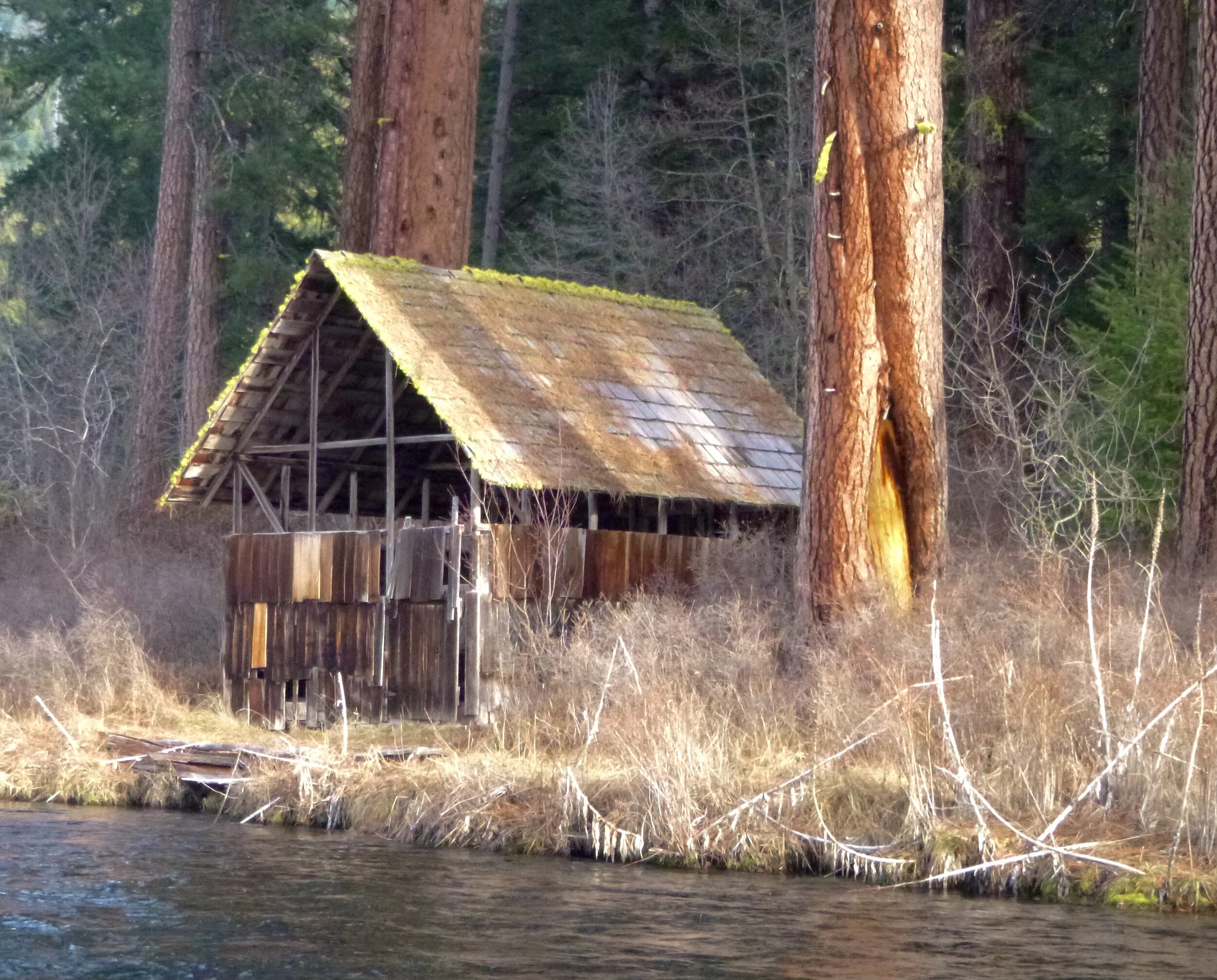 David Kinker "Painting Magic" classes — David Kinker