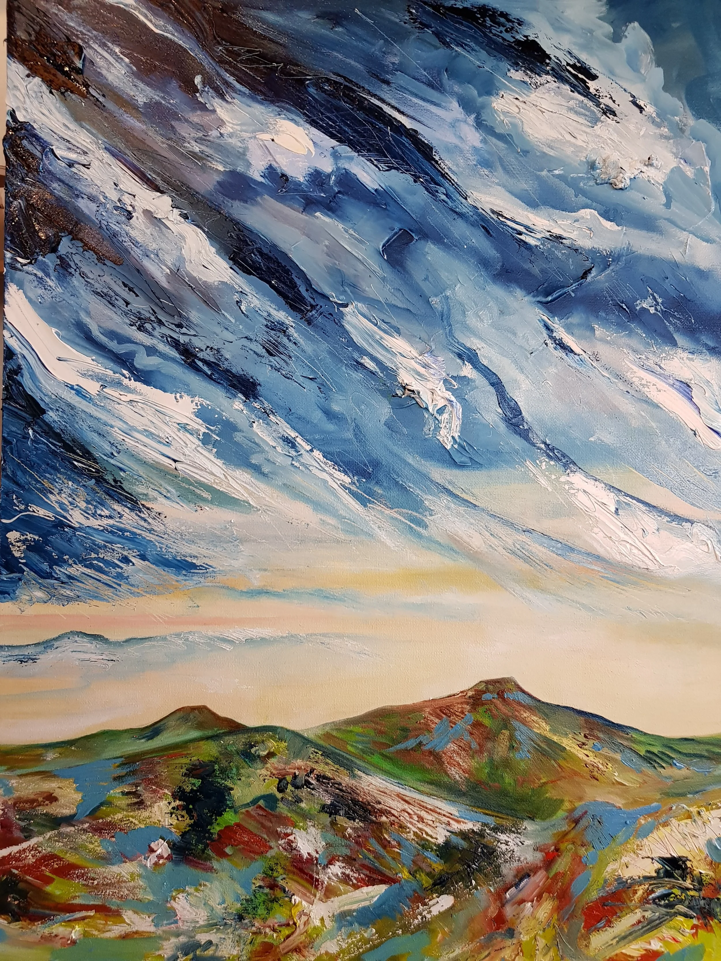 Gallery — Janet Chaplin Artist