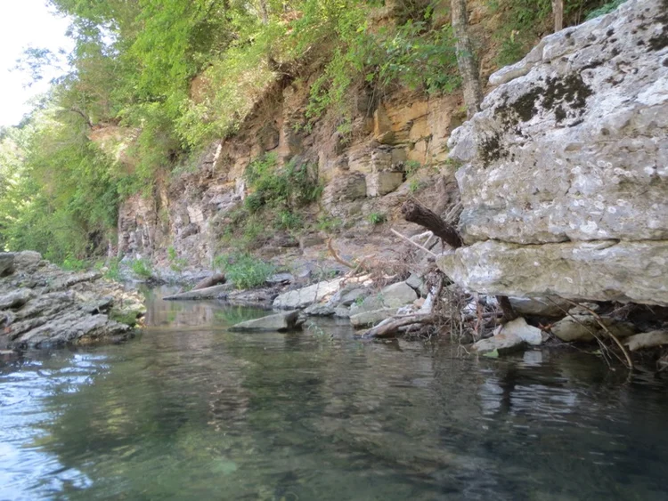 About Spring Creek — Spring Creek Coalition