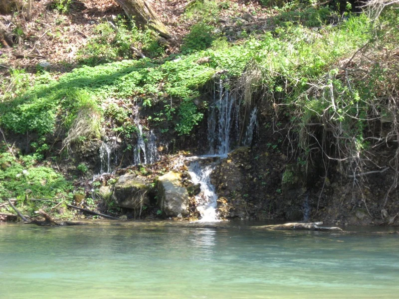 About Spring Creek — Spring Creek Coalition