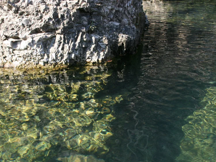 About Spring Creek — Spring Creek Coalition