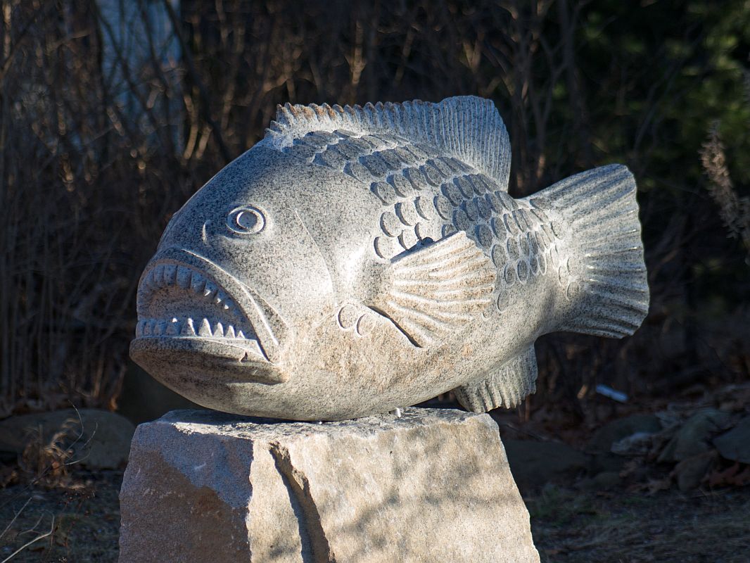 Grumpy Grouper — Thomas Berger