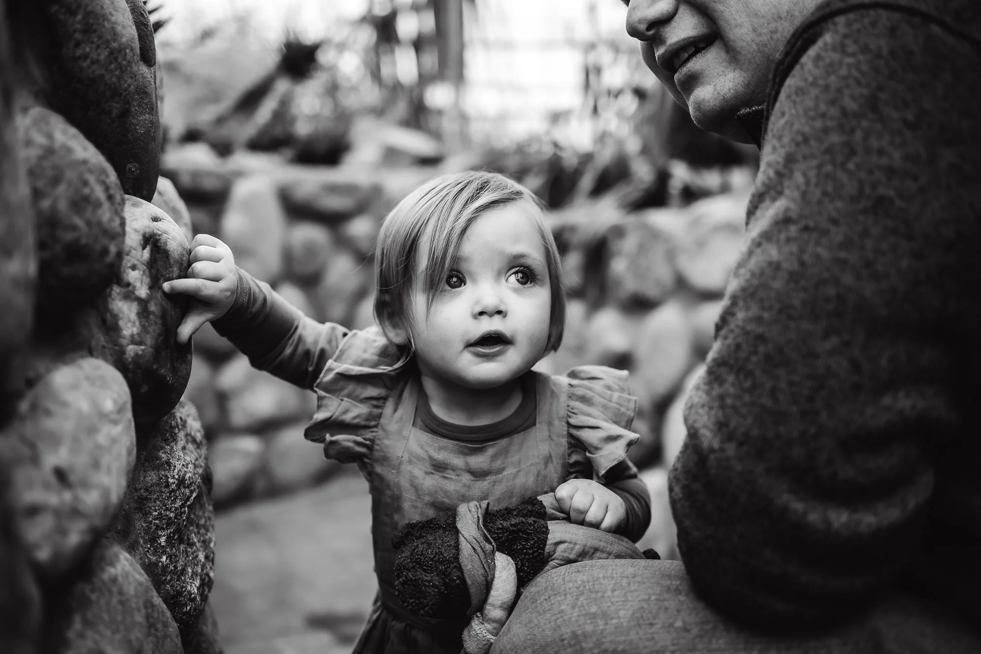 Family Photography Session at Matthaei Botanic Gardens, Ann Arbor ...
