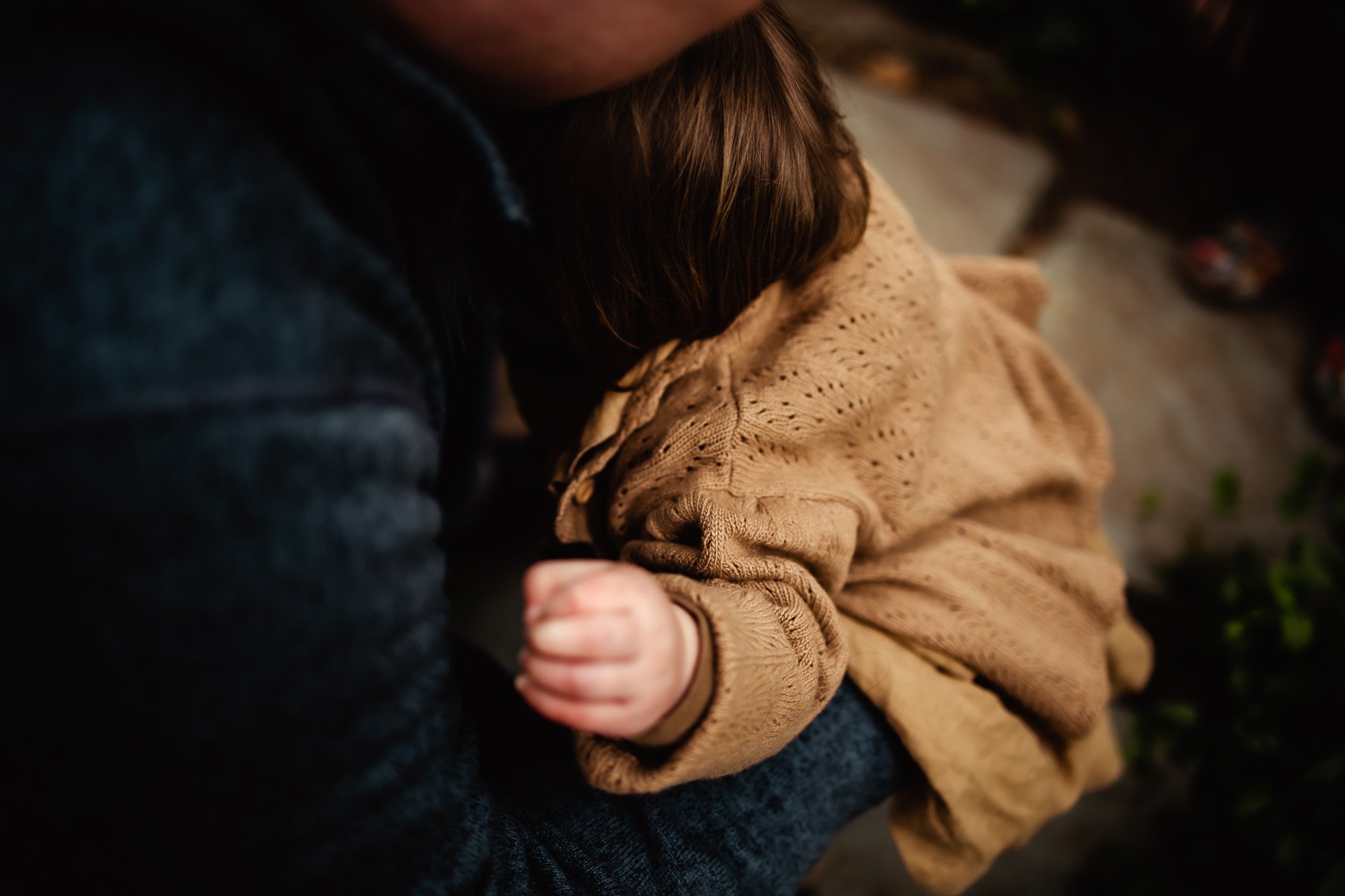 Family Photography Session at Matthaei Botanic Gardens, Ann Arbor ...
