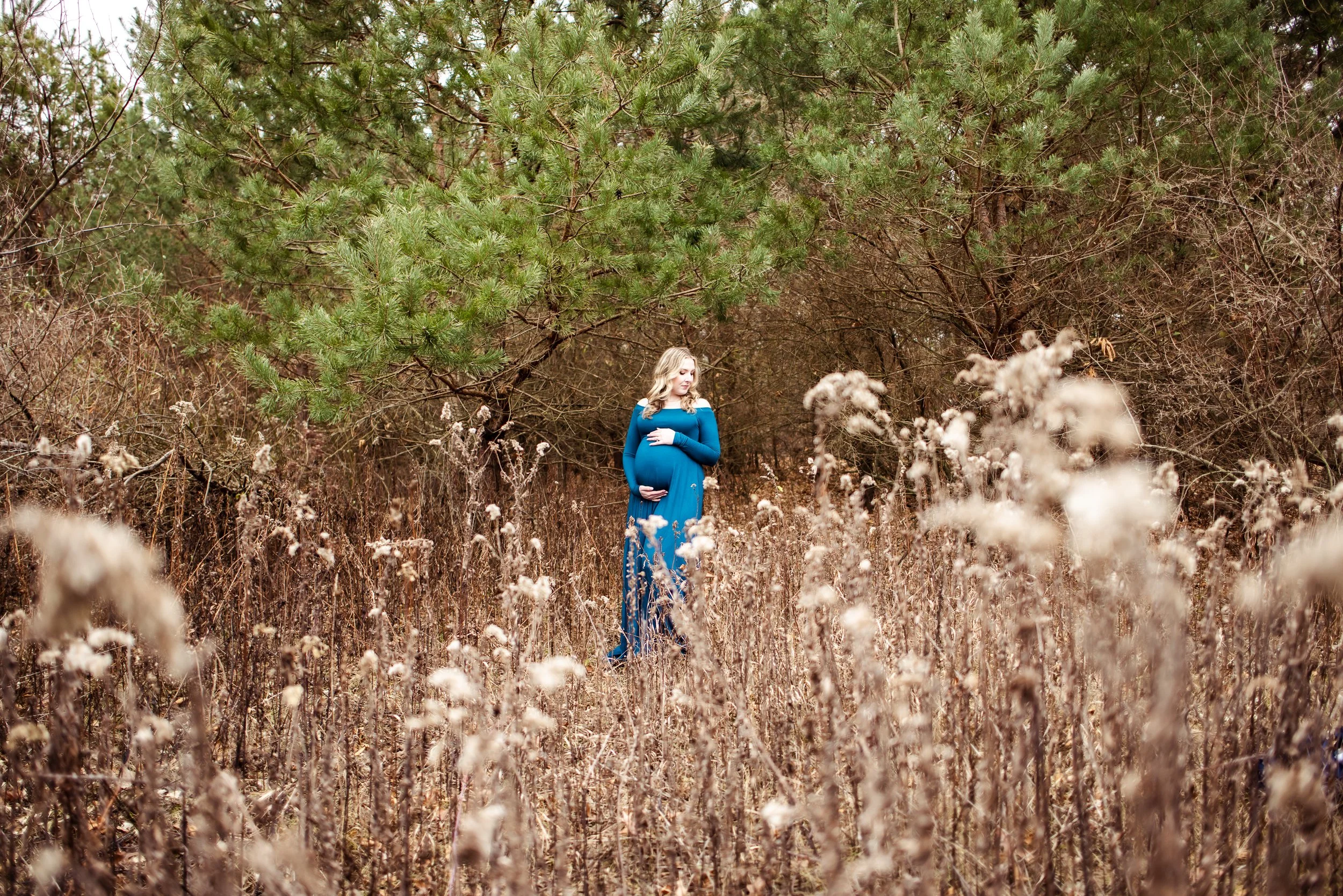 Pregnancy Photography at West Lake in Chelsea, Michigan — Jennifer ...