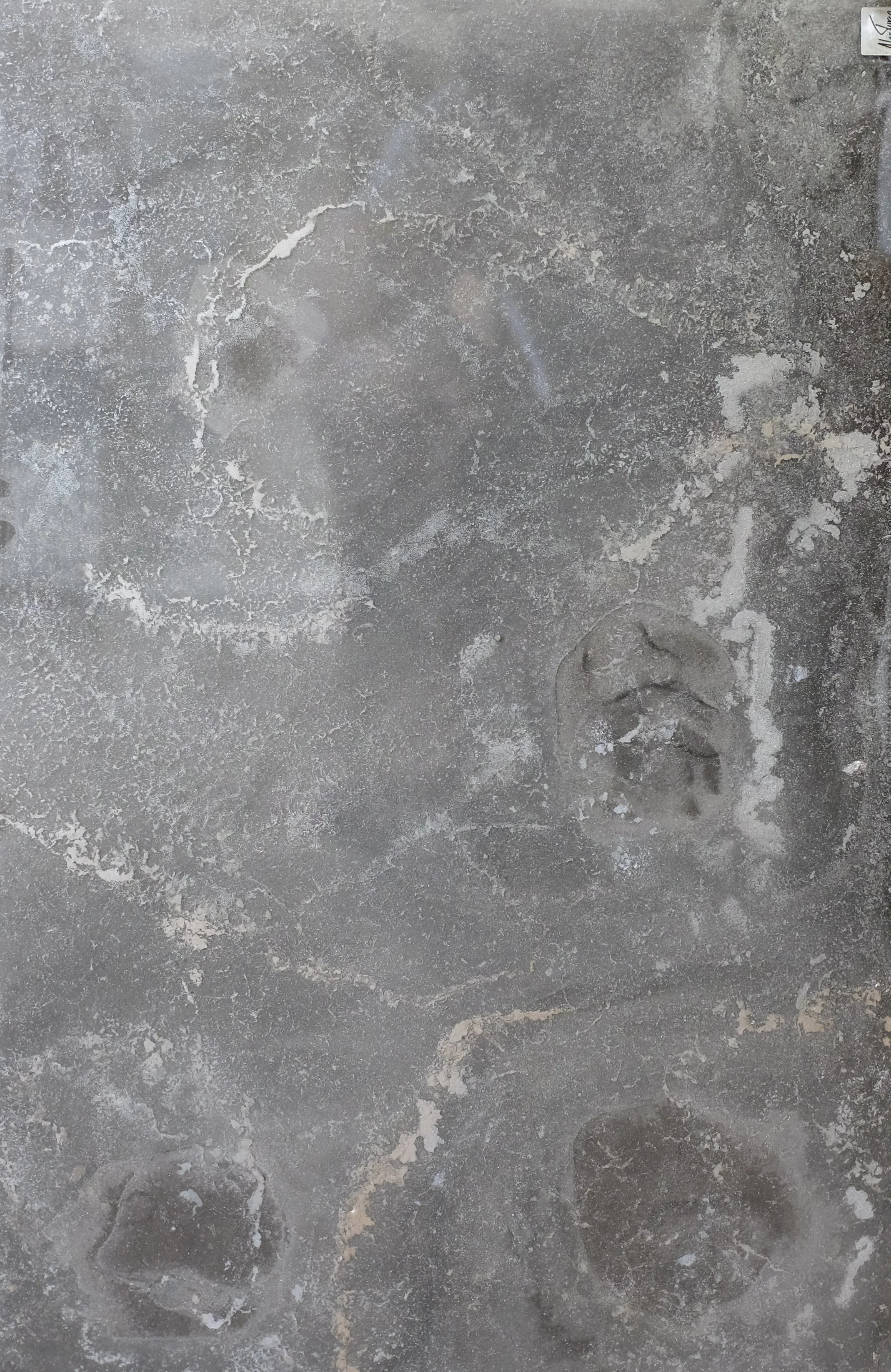 Decorative Art Panels — D'Mundo Tile