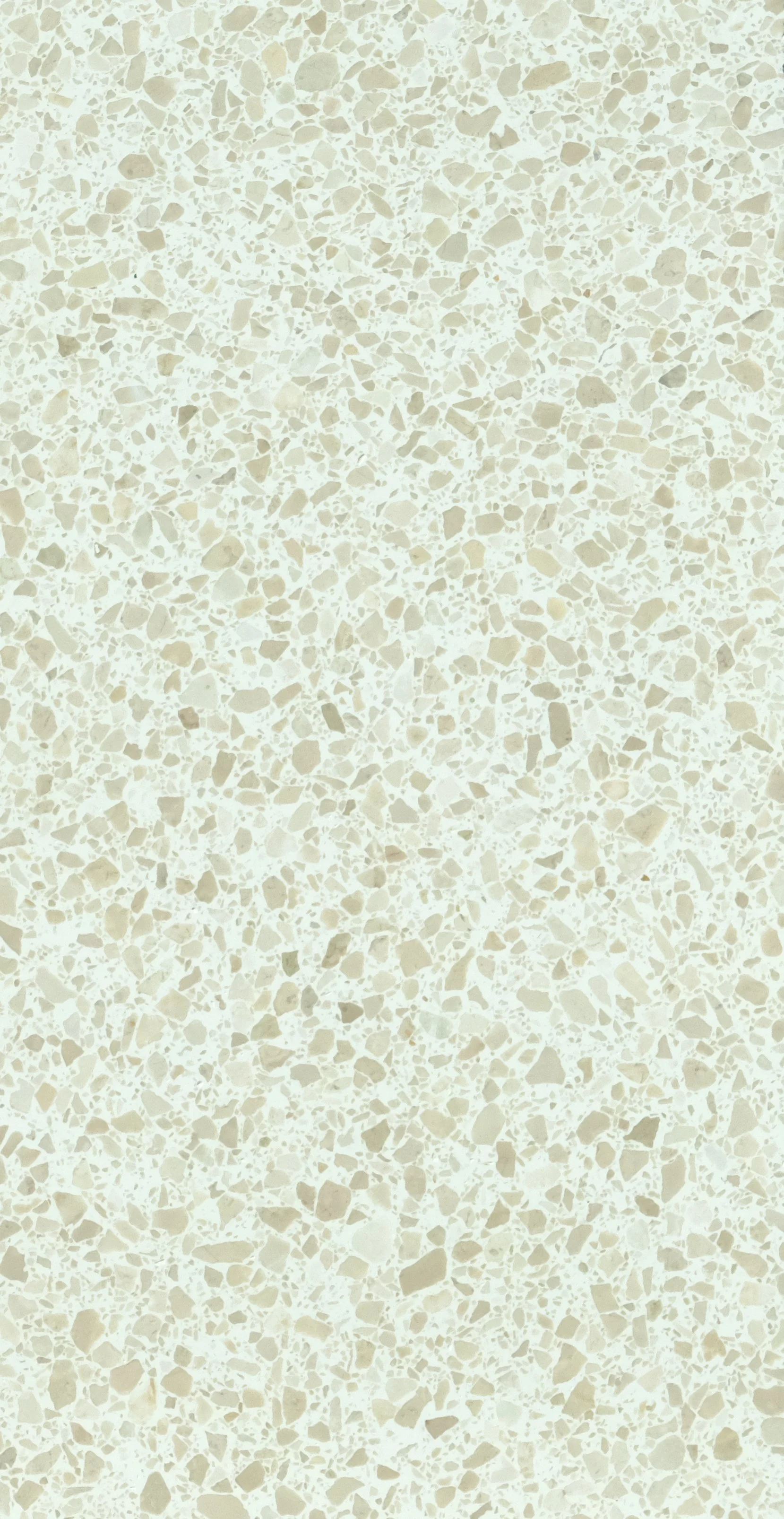 True Terrazzo — D'Mundo Tile