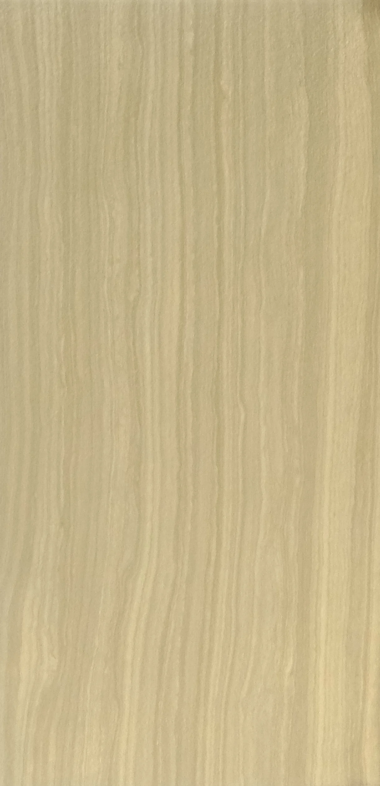 Porcelain 12x24 — D'Mundo Tile