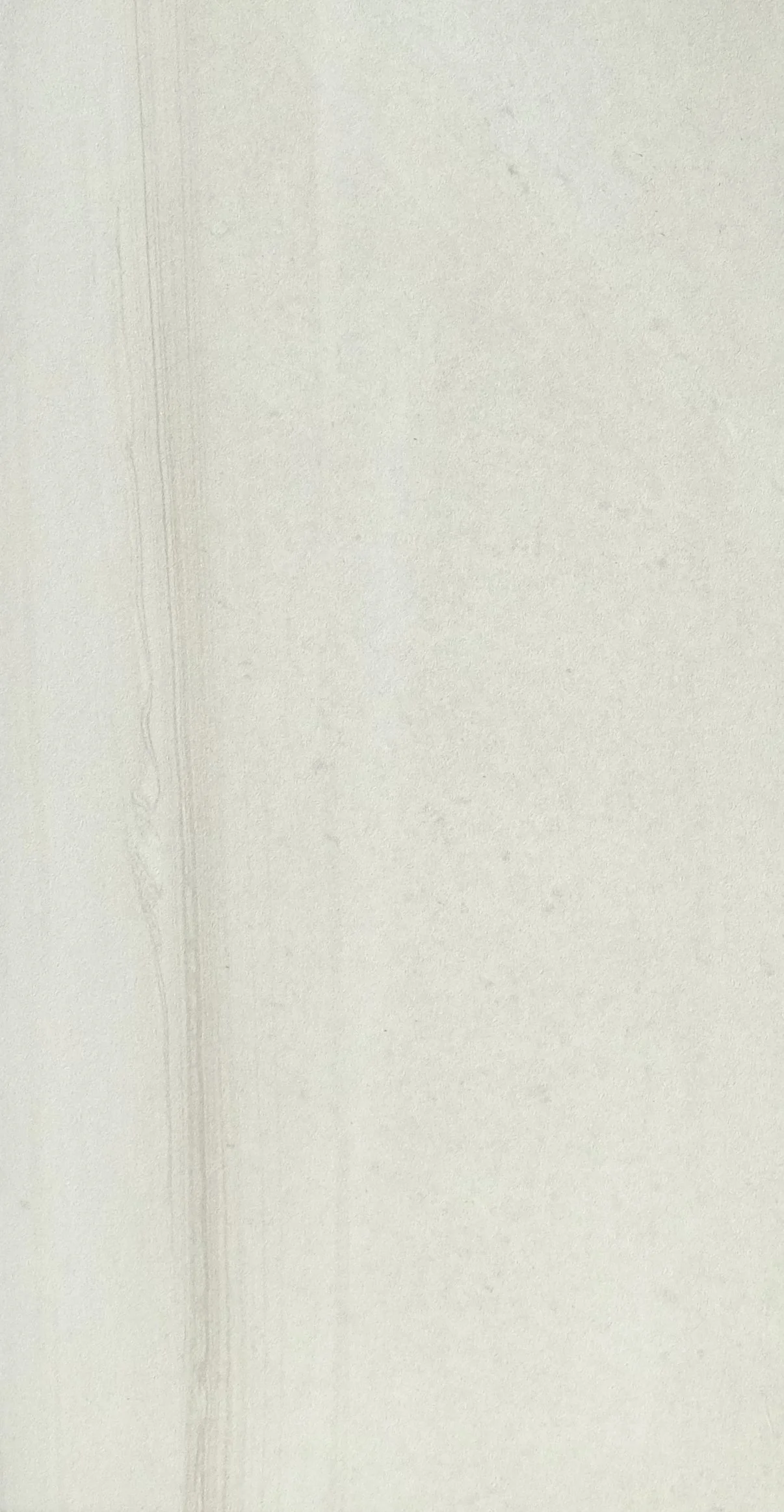 Porcelain 12x24 — D'Mundo Tile