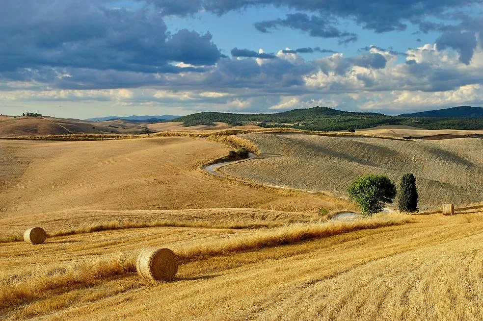 Excursions into the vineyards of Tuscany, Italy — BARBARA ATHANASSIADIS ...