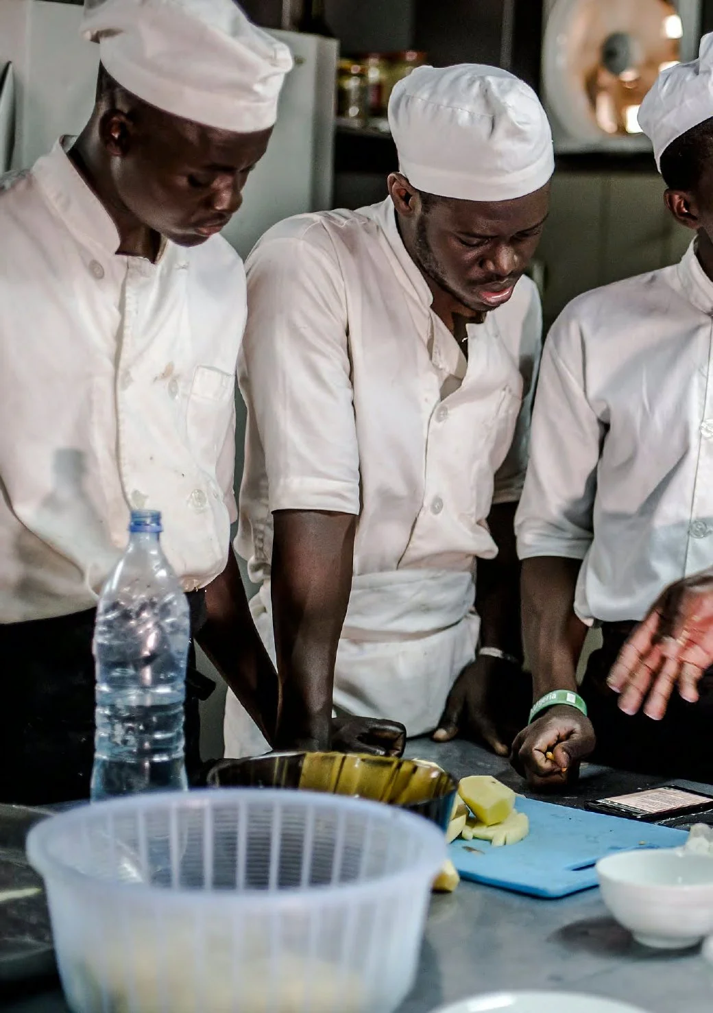 Investment Guidelines For Youth In Agrifood System In Africa — A Light ...