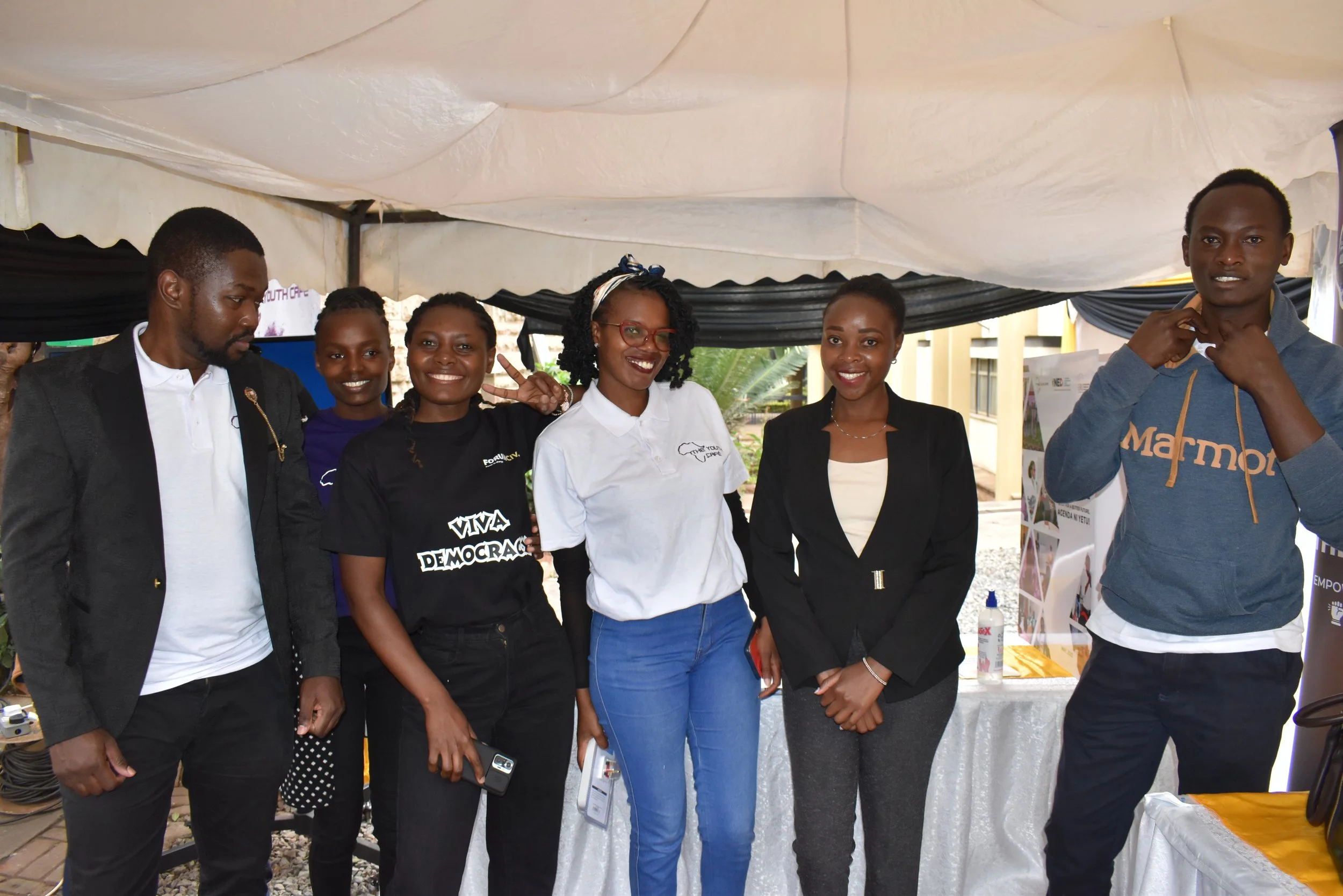 The Ignite African Youth project | Youth Democratic Participation And ...