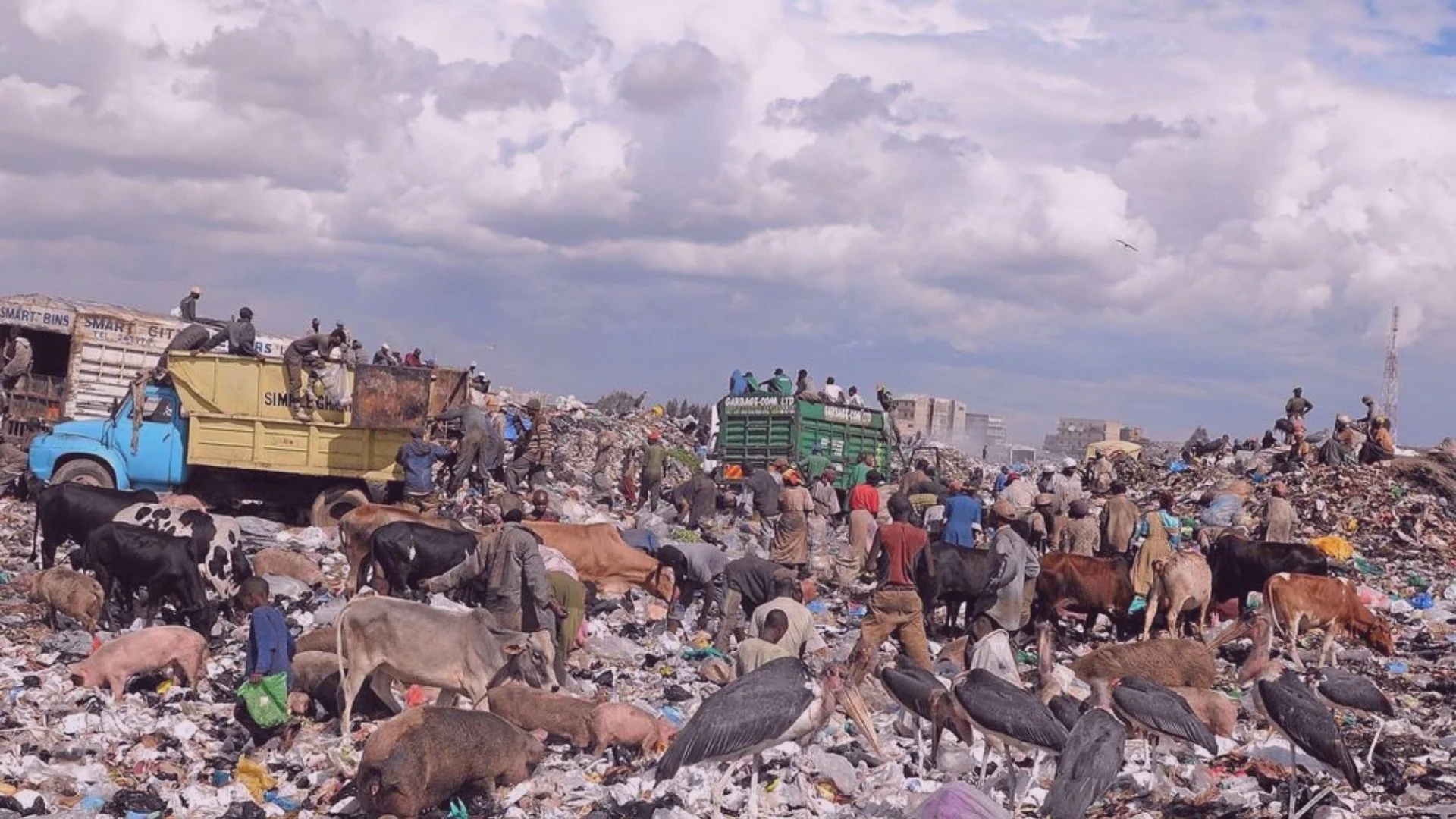 Beyond An Age Of Waste - Turning Rubish Into A Resource — A Light Bulb ...