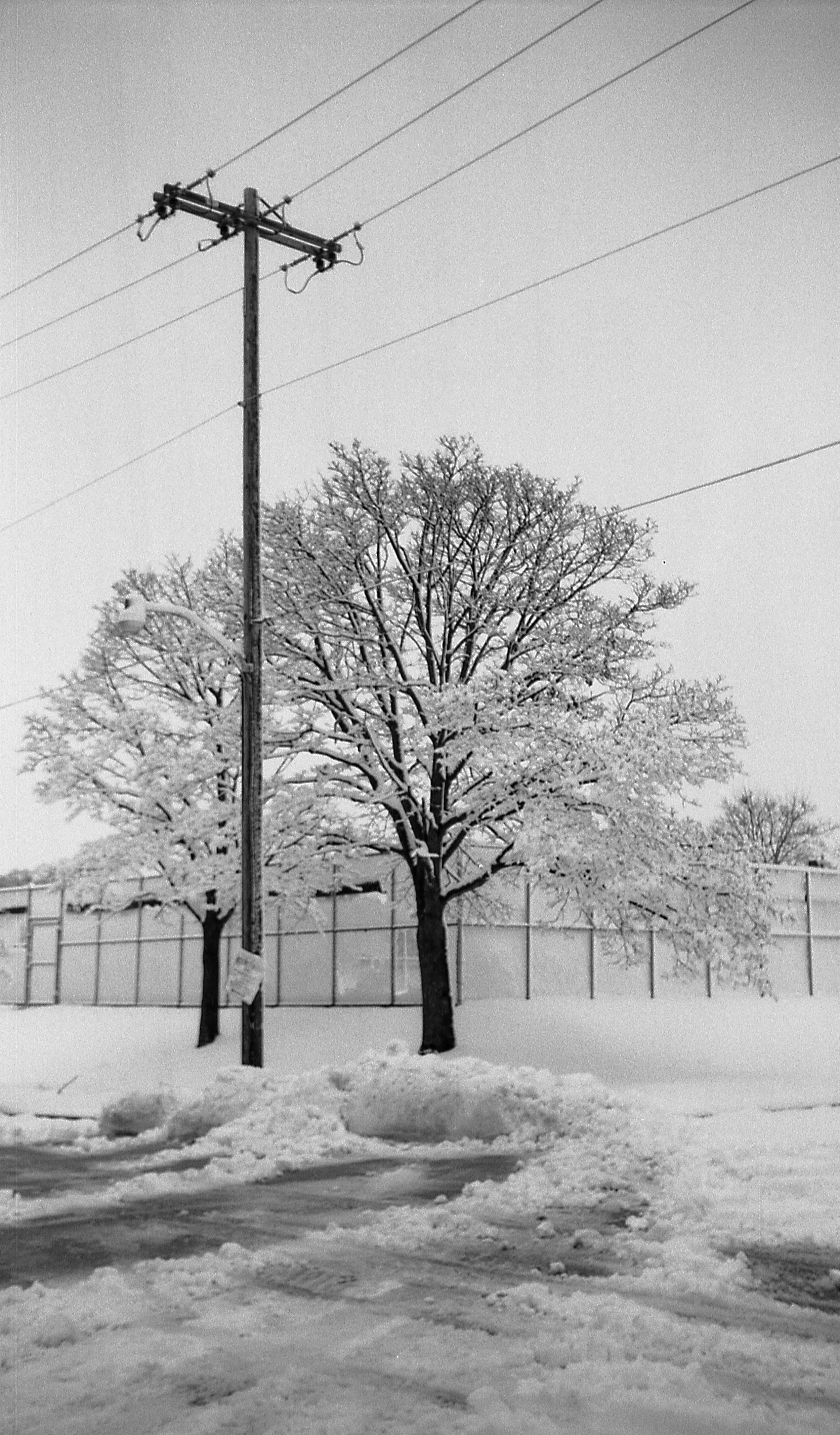 Ultrafine Finesse 100 — Aperture Preview