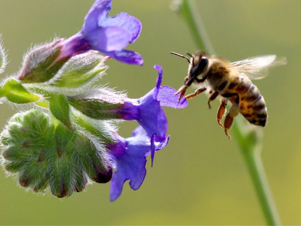 Homeschool Science | Best Homeschool Resources