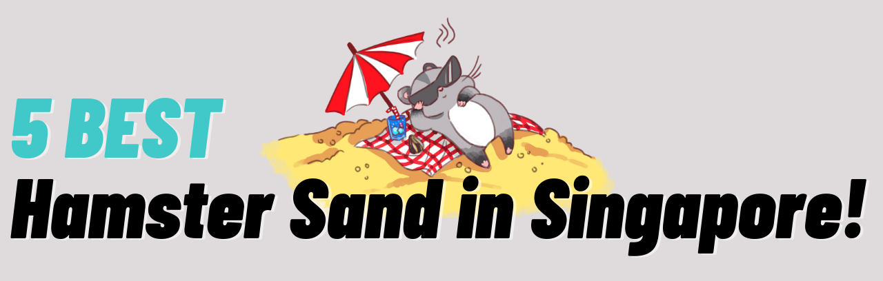 Best & Worst Sand for Hamsters — Hamster Society (Singapore)