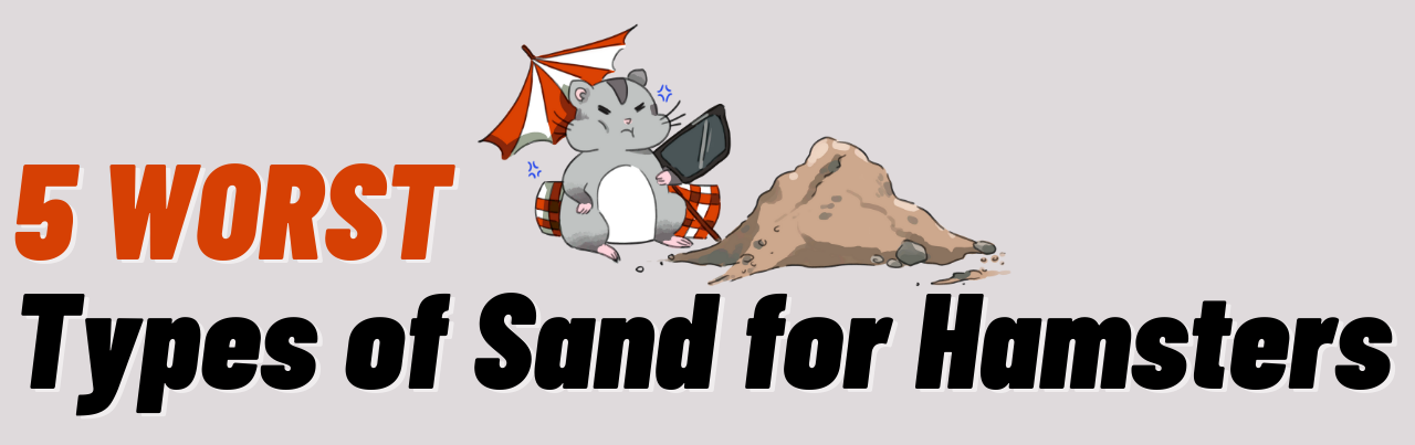 Best & Worst Sand for Hamsters — Hamster Society (Singapore)