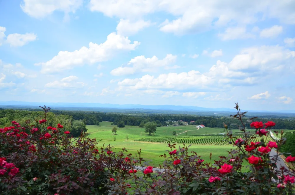 The 7 top views of North Carolina's Swan Creek wineries — Triangle ...