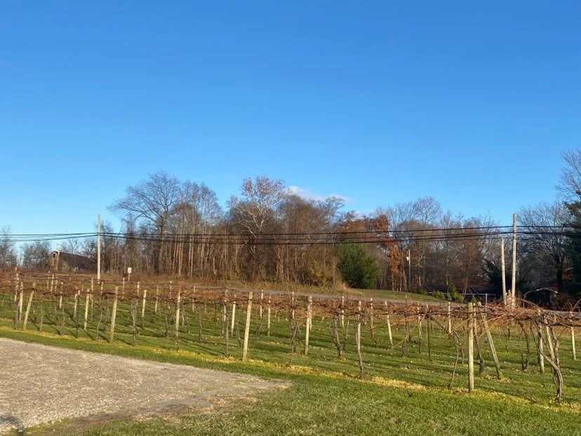 Winery Review: Rockside Winery — Triangle Around Town