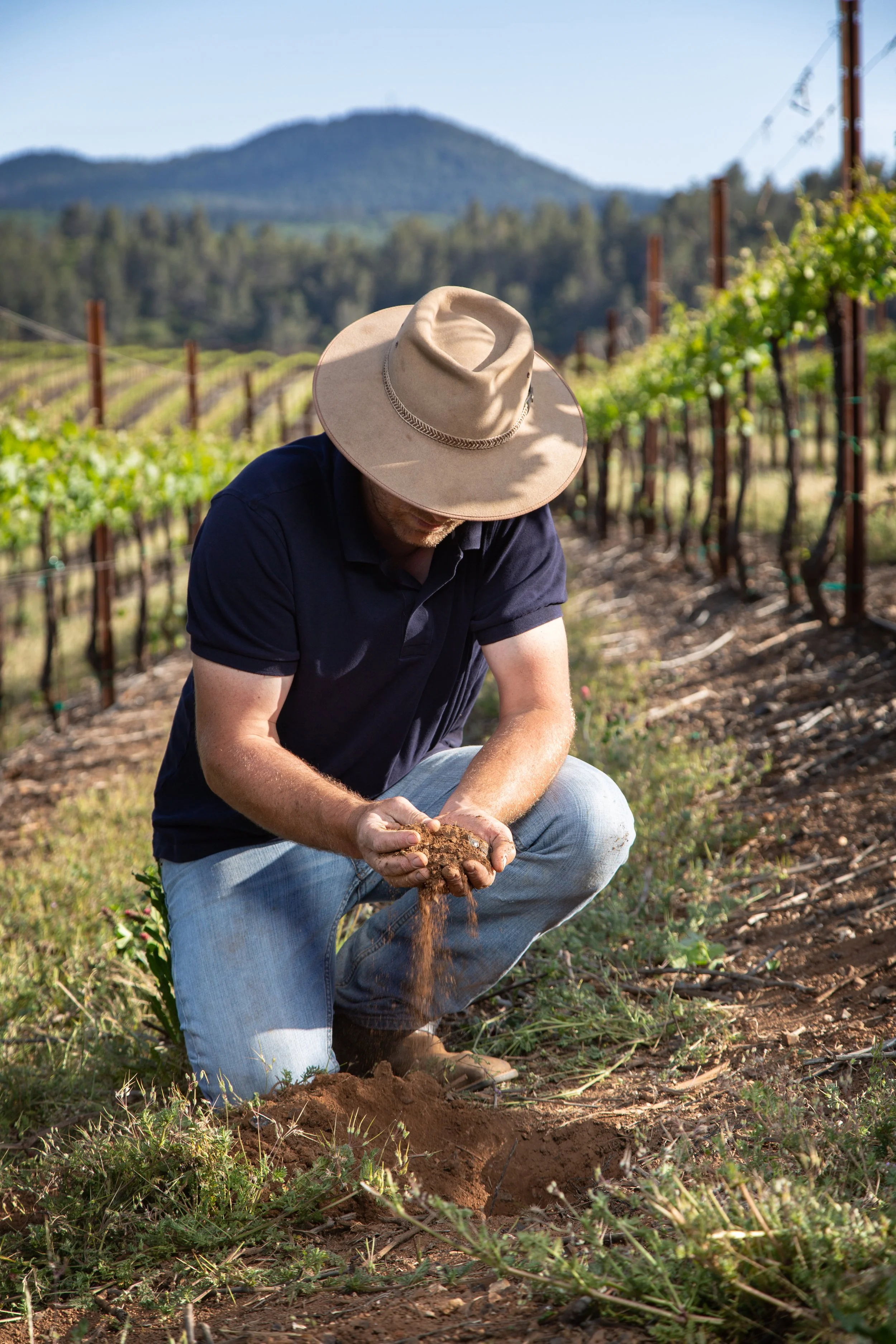 Exploring California’s Lake County AVA — Triangle Around Town