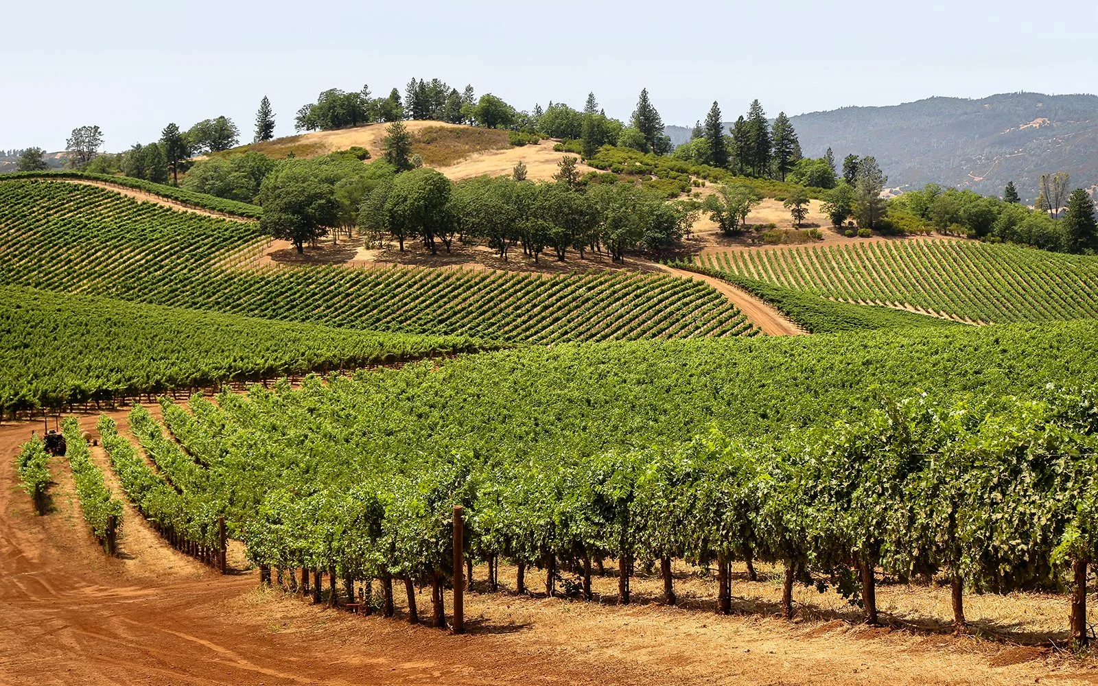 Exploring California’s Lake County AVA — Triangle Around Town