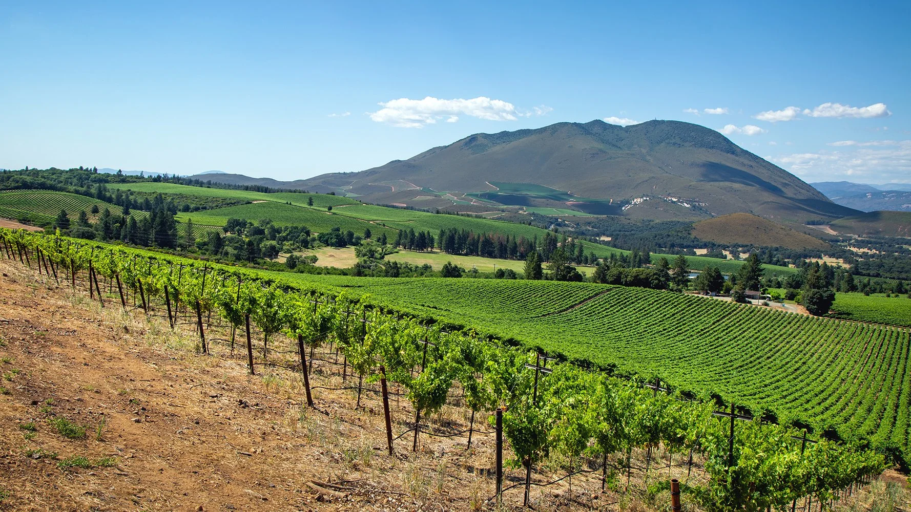 Exploring California’s Lake County AVA — Triangle Around Town